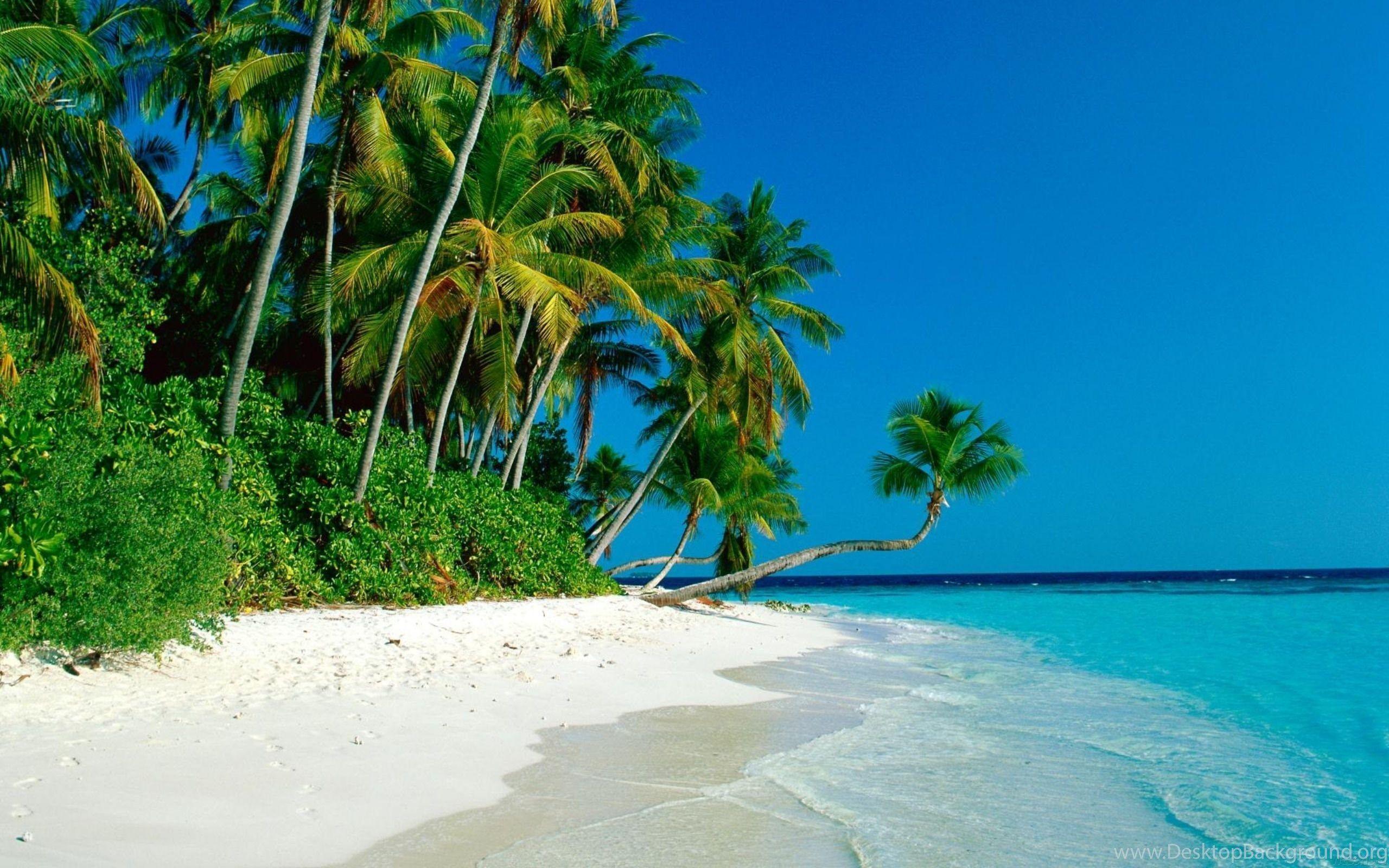 Fiji Beach Desktop Wallpapers - Top Free Fiji Beach Desktop Backgrounds ...