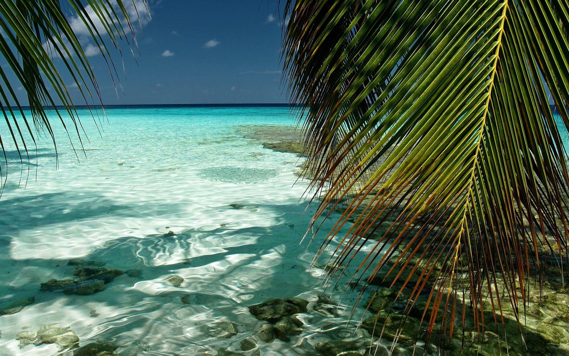 HD Tropical Desktop Wallpapers - Top Free HD Tropical Desktop ...