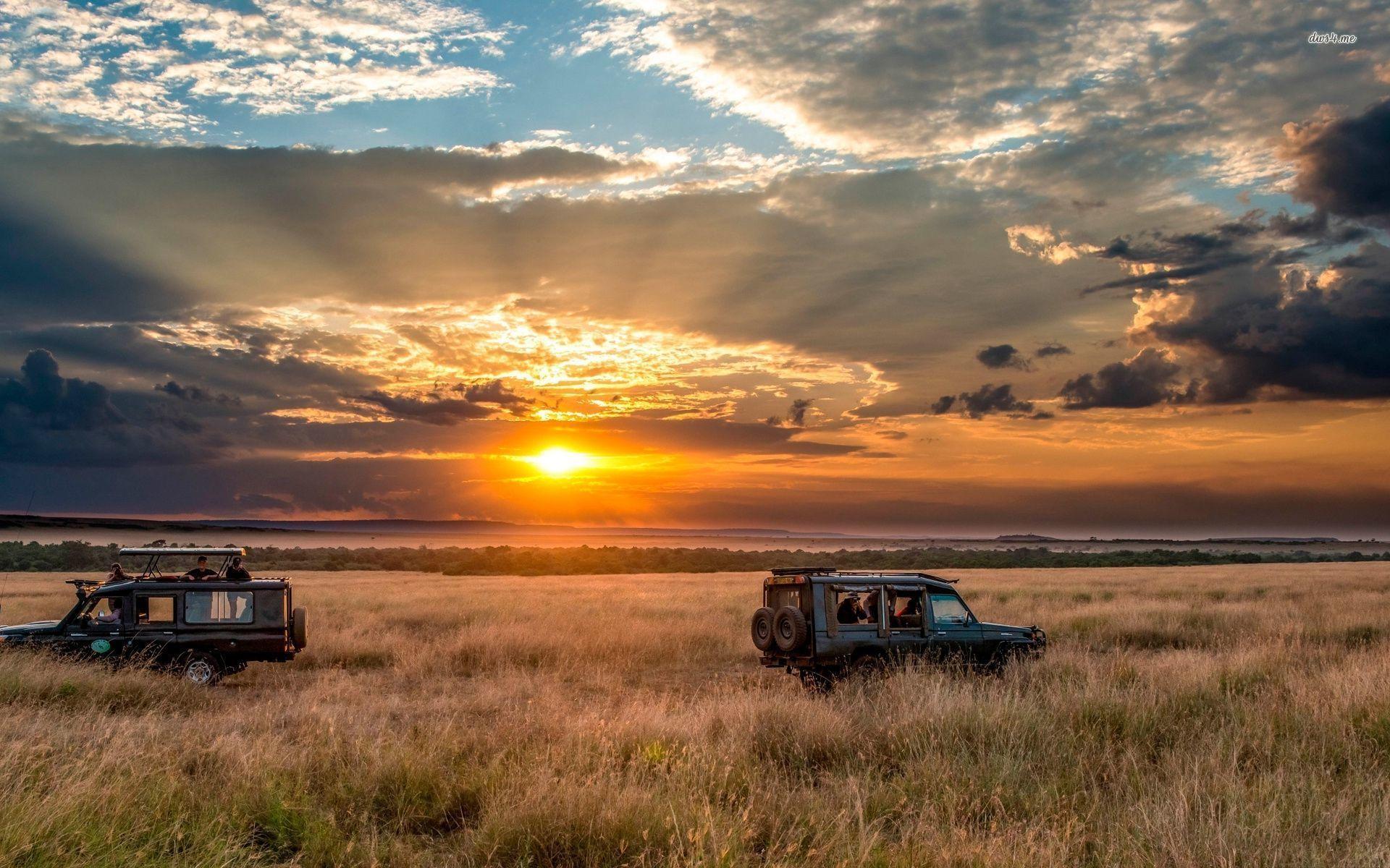 Safari Desktop Wallpapers - Top Free Safari Desktop Backgrounds ...