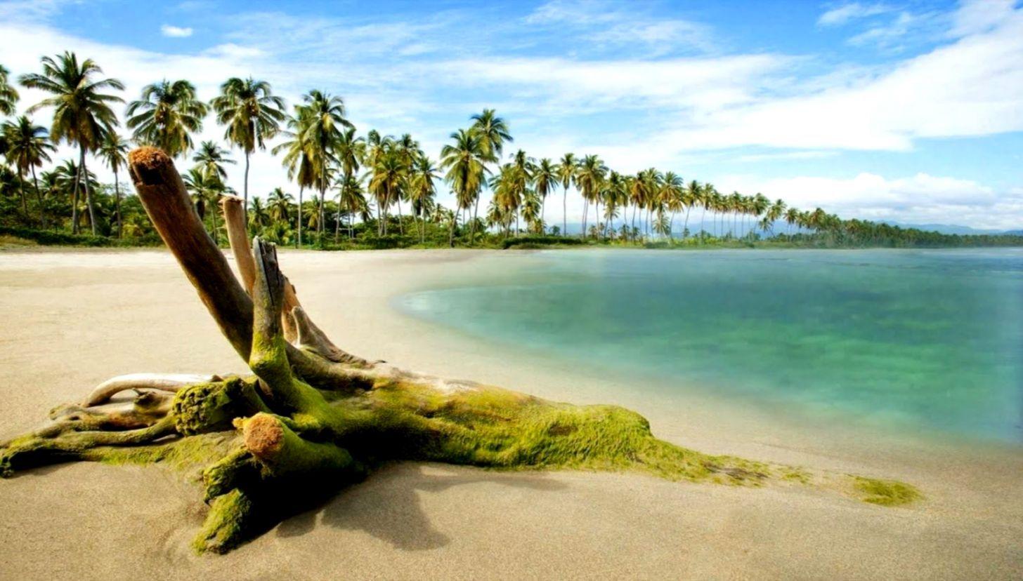 Widescreen Tropical Desktop Wallpapers Top Free Widescreen Tropical