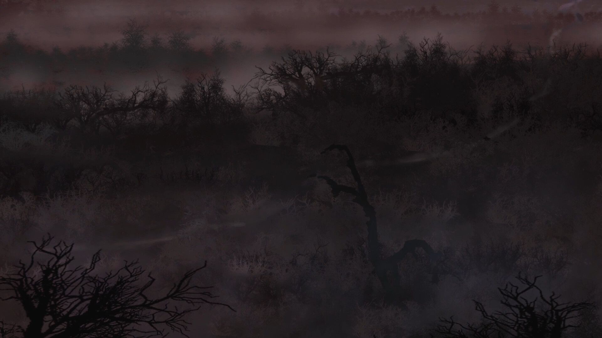 Dead Forest Wallpapers - Top Free Dead Forest Backgrounds - WallpaperAccess