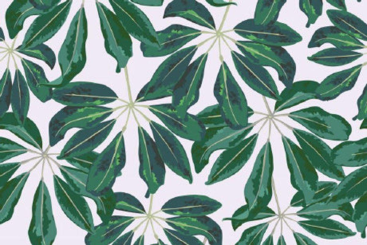 Tropical Pattern Wallpapers - Top Free Tropical Pattern Backgrounds ...