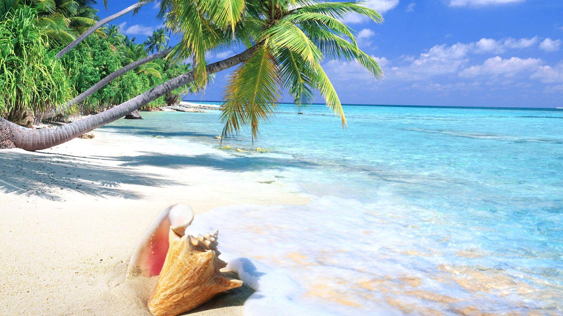 Widescreen Tropical Desktop Wallpapers Top Free Widescreen Tropical
