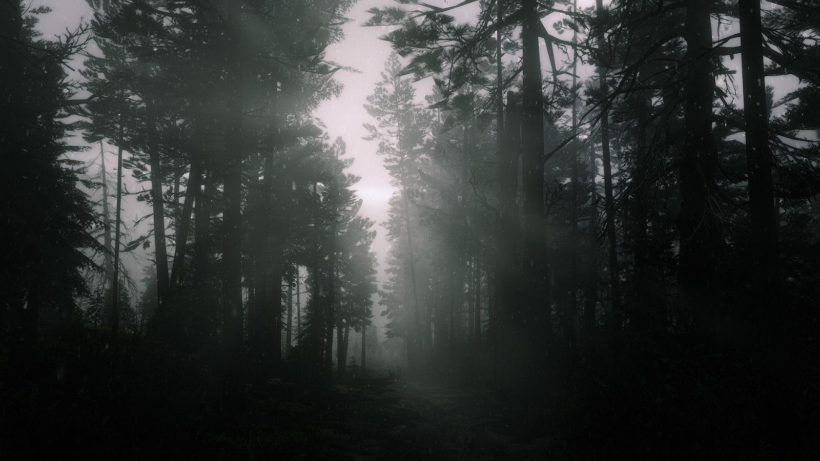 Dead Forest Wallpapers - Top Free Dead Forest Backgrounds - WallpaperAccess