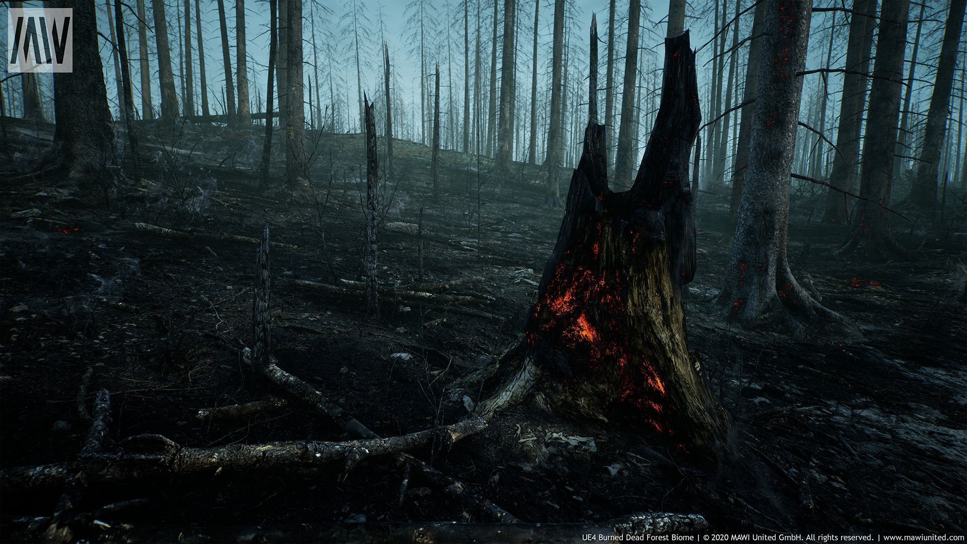 Dead Forest Wallpapers - Top Free Dead Forest Backgrounds - WallpaperAccess