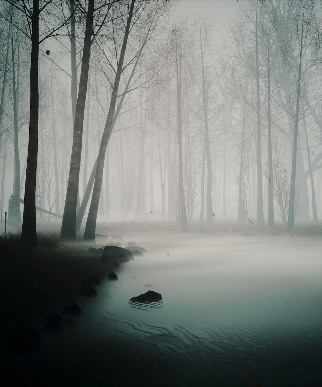 Dead Forest Wallpapers - Top Free Dead Forest Backgrounds - WallpaperAccess