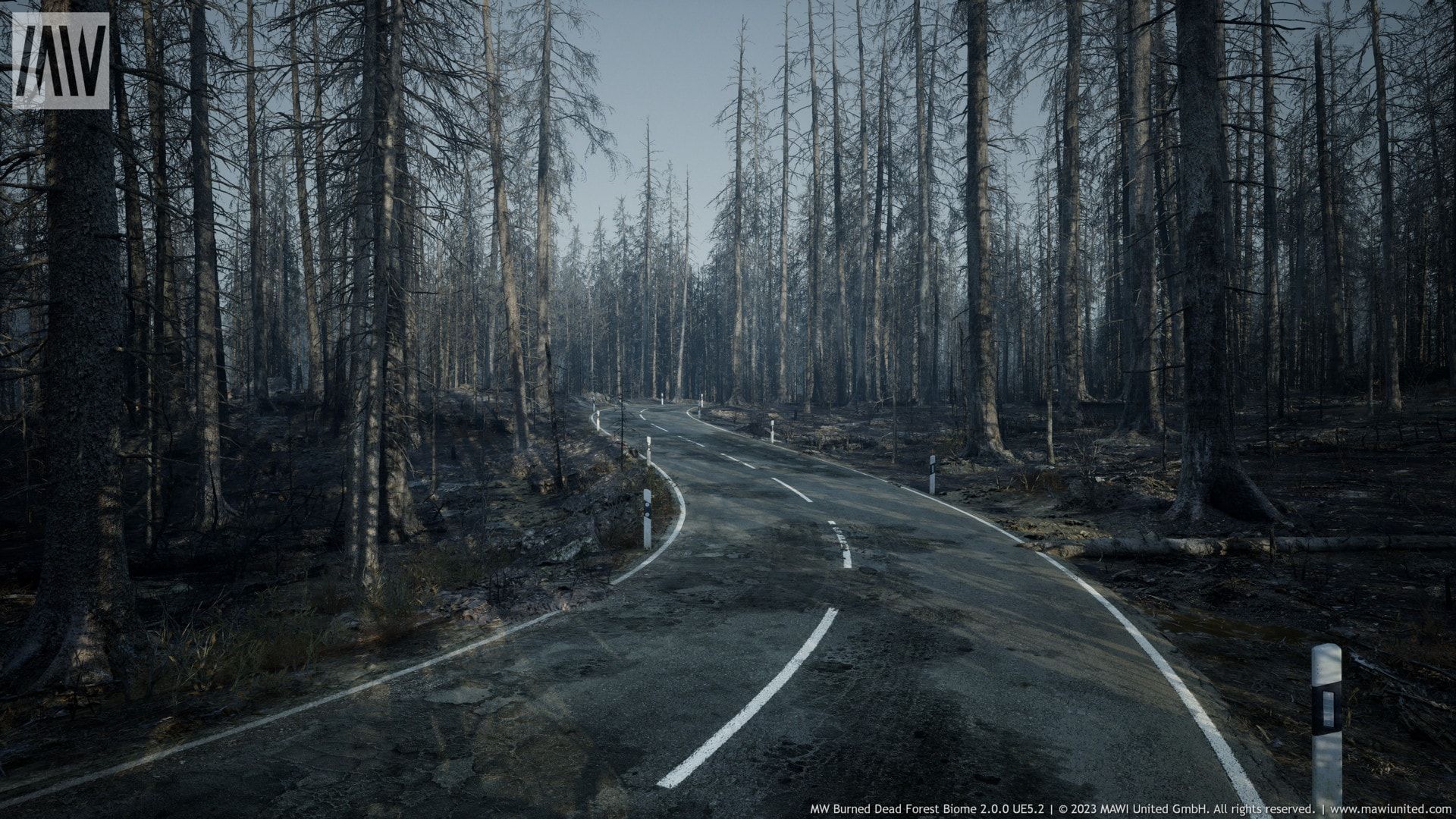 Dead Forest Wallpapers - Top Free Dead Forest Backgrounds - WallpaperAccess