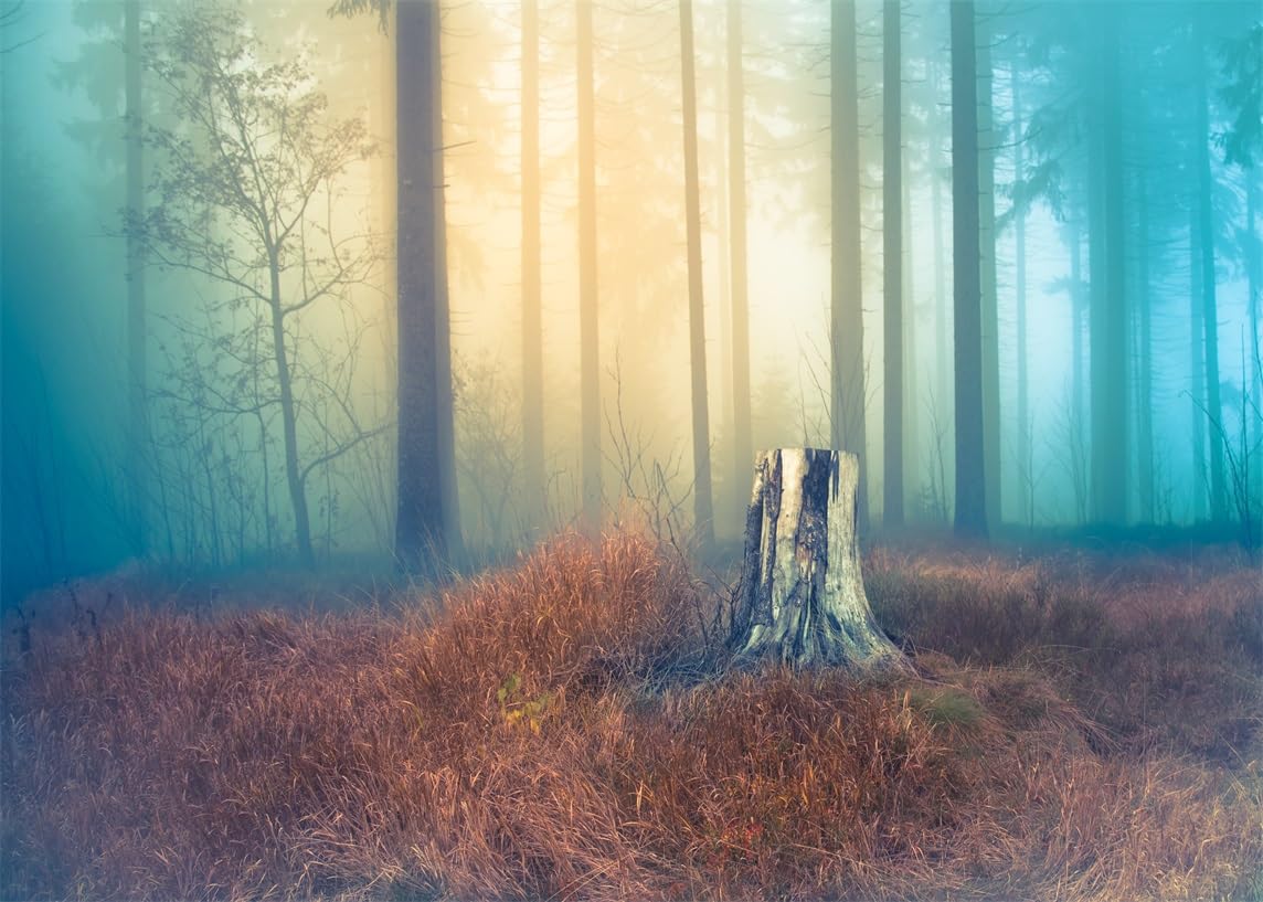 Dead Forest Wallpapers - Top Free Dead Forest Backgrounds - WallpaperAccess