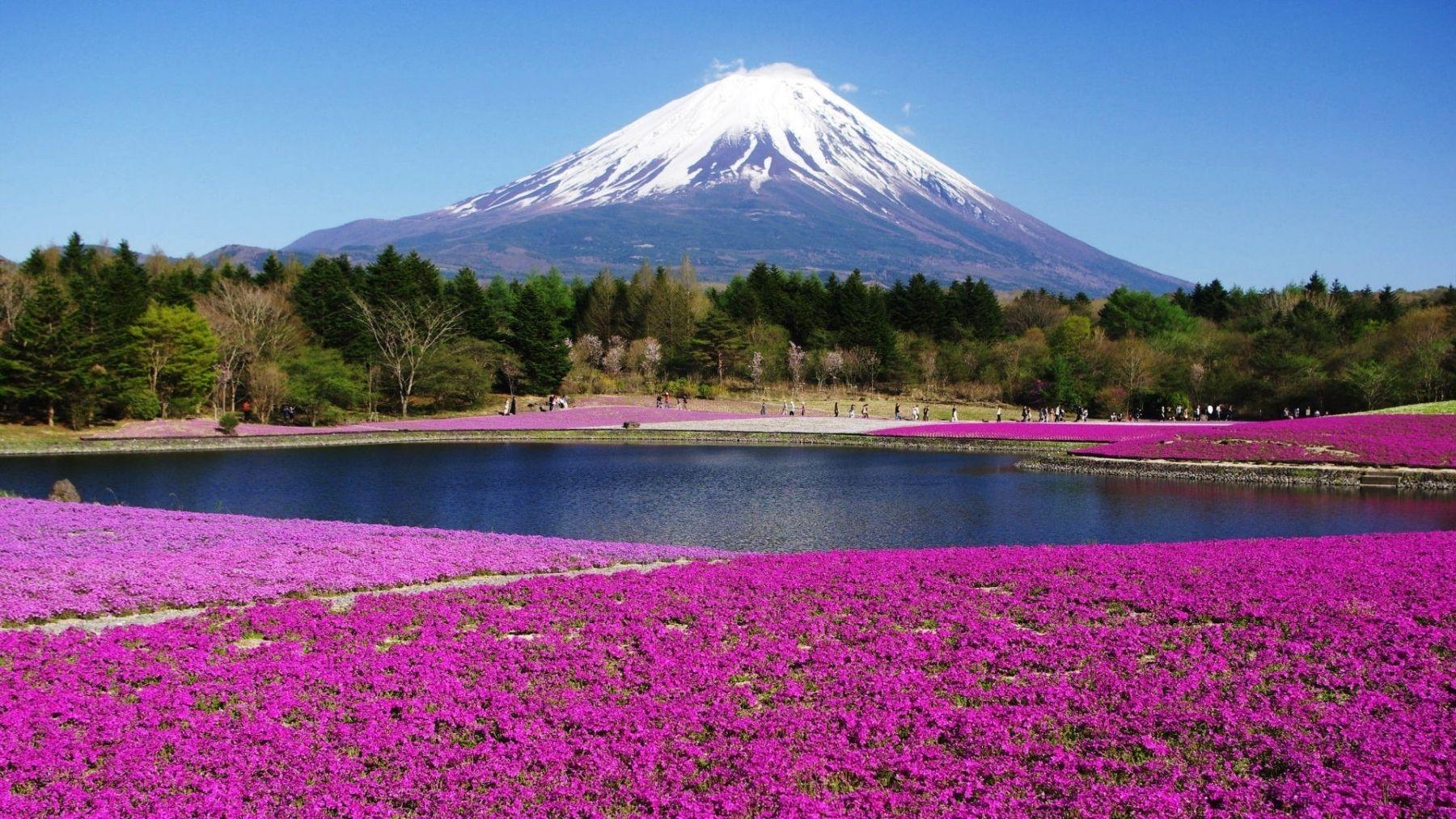 Mount Fuji HD Wallpapers - Top Free Mount Fuji HD Backgrounds ...