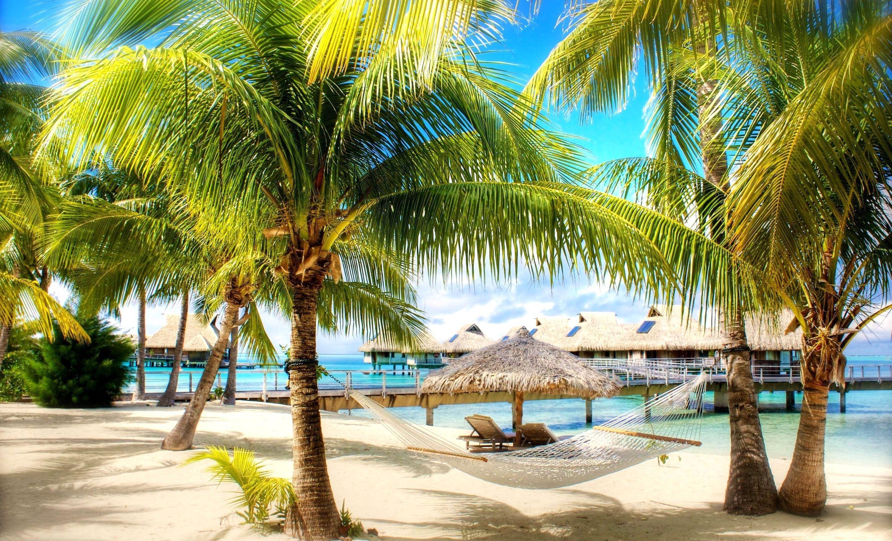 Widescreen Tropical Desktop Wallpapers Top Free Widescreen Tropical