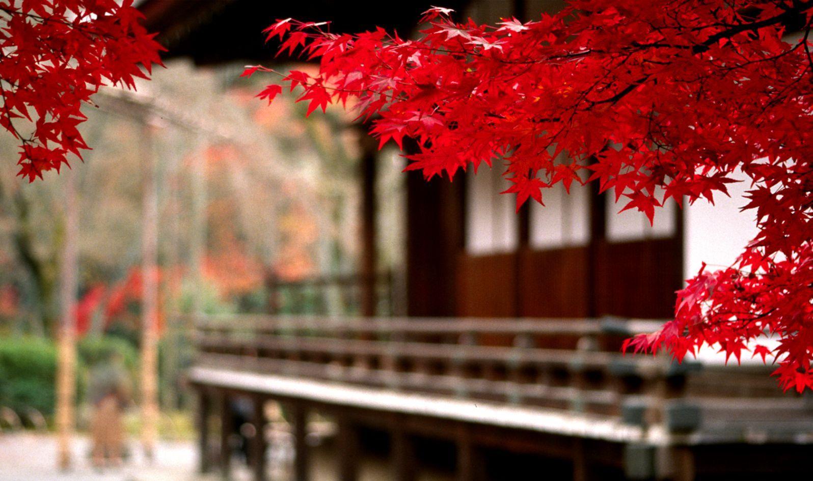 Japan HD Desktop Wallpapers - Top Free Japan HD Desktop Backgrounds ...