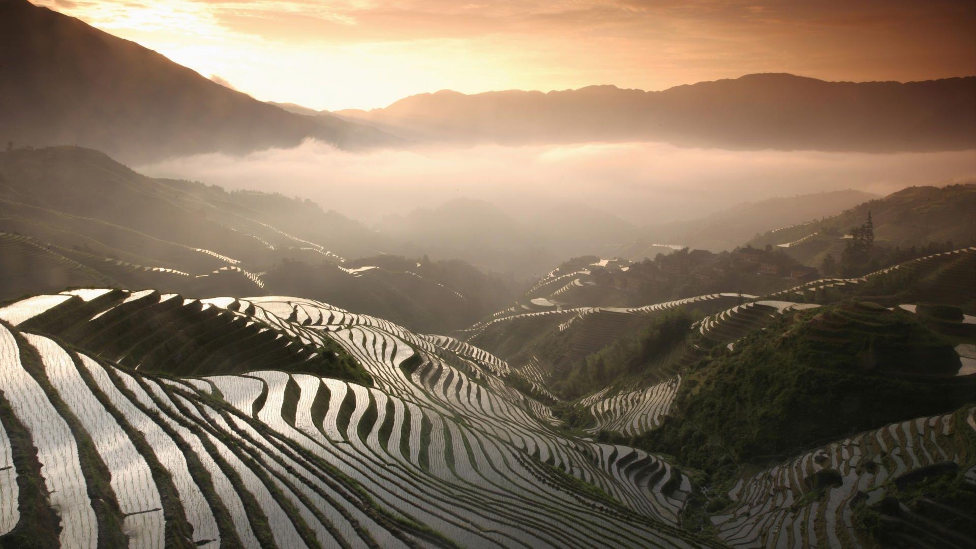 Rice Desktop Wallpapers - Top Free Rice Desktop Backgrounds ...
