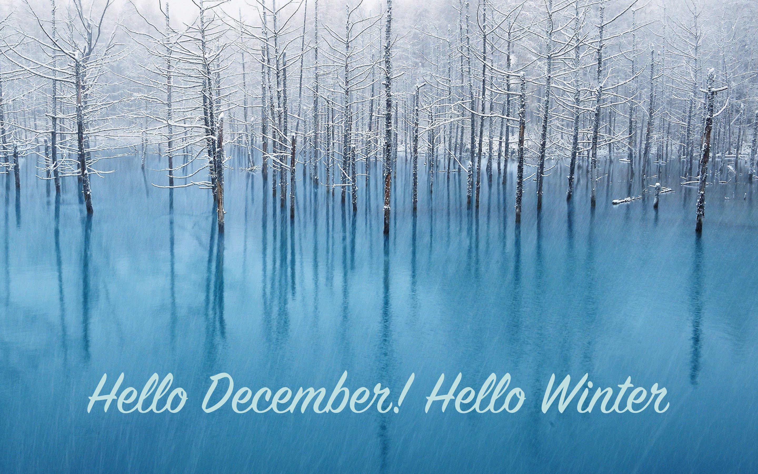 Hello December Desktop Wallpapers - Top Free Hello December Desktop ...