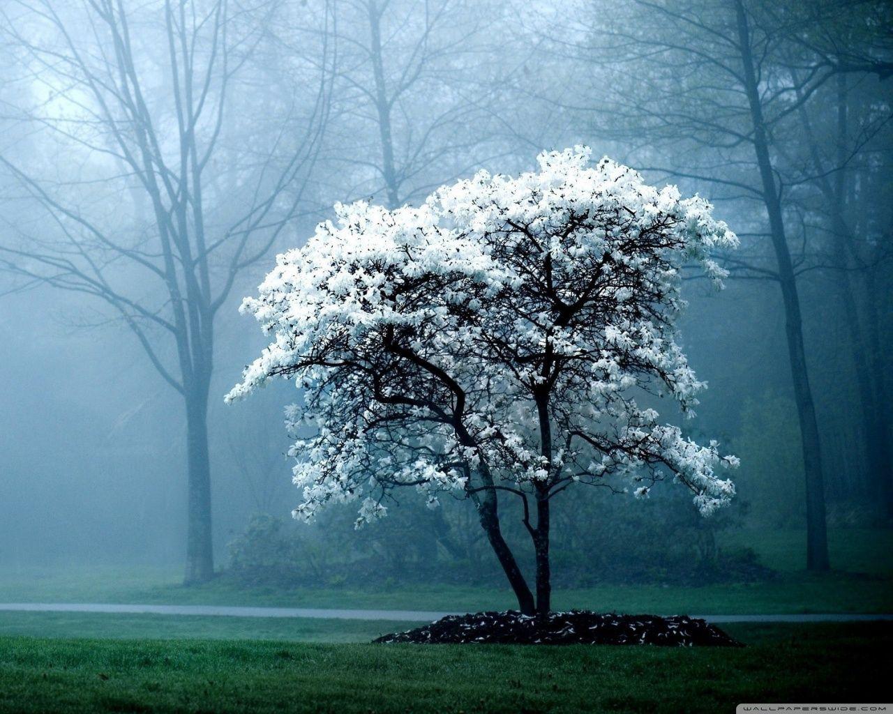 Cold Desktop Wallpapers - Top Free Cold Desktop Backgrounds ...