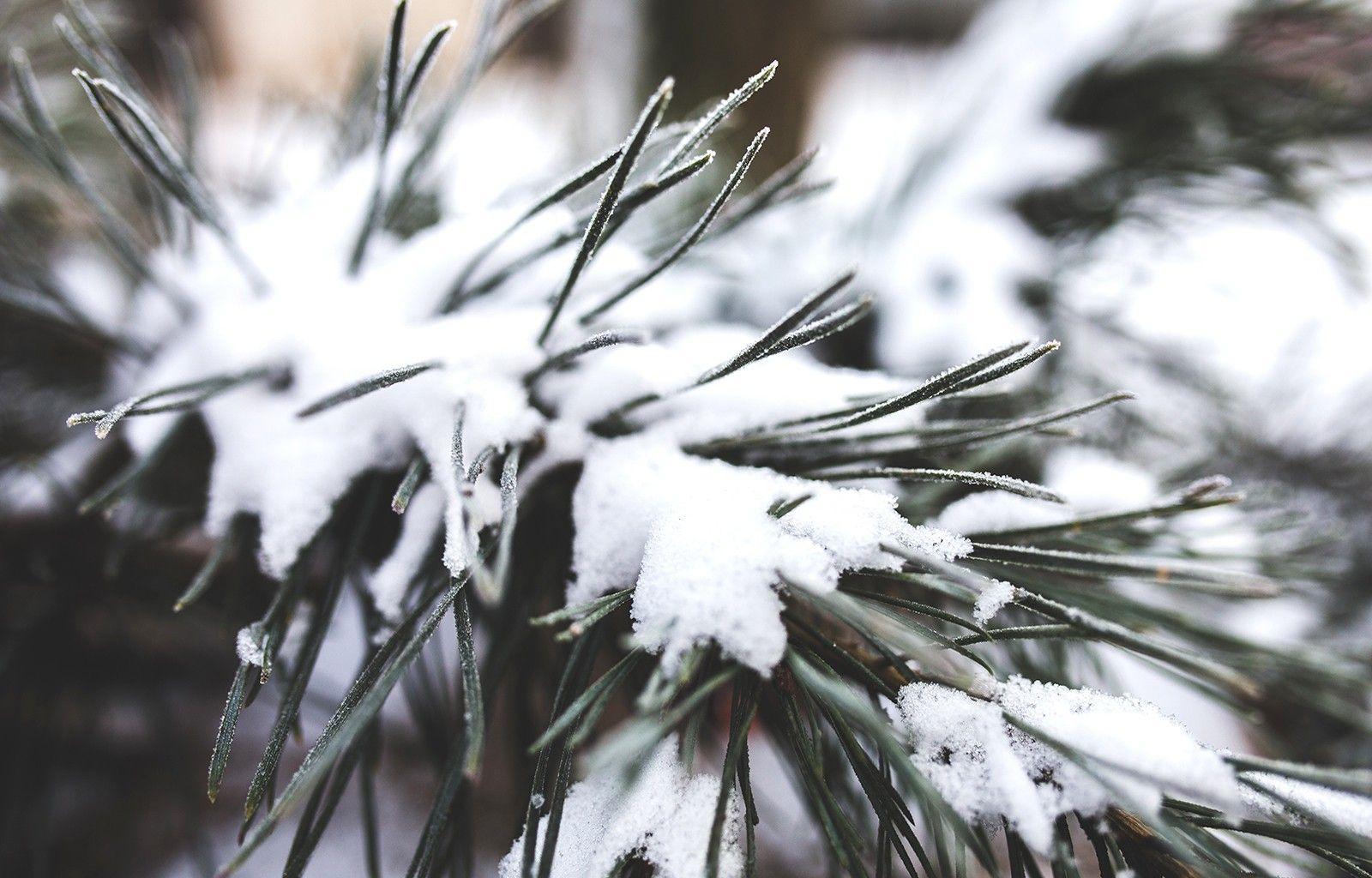 Cold Desktop Wallpapers - Top Free Cold Desktop Backgrounds ...