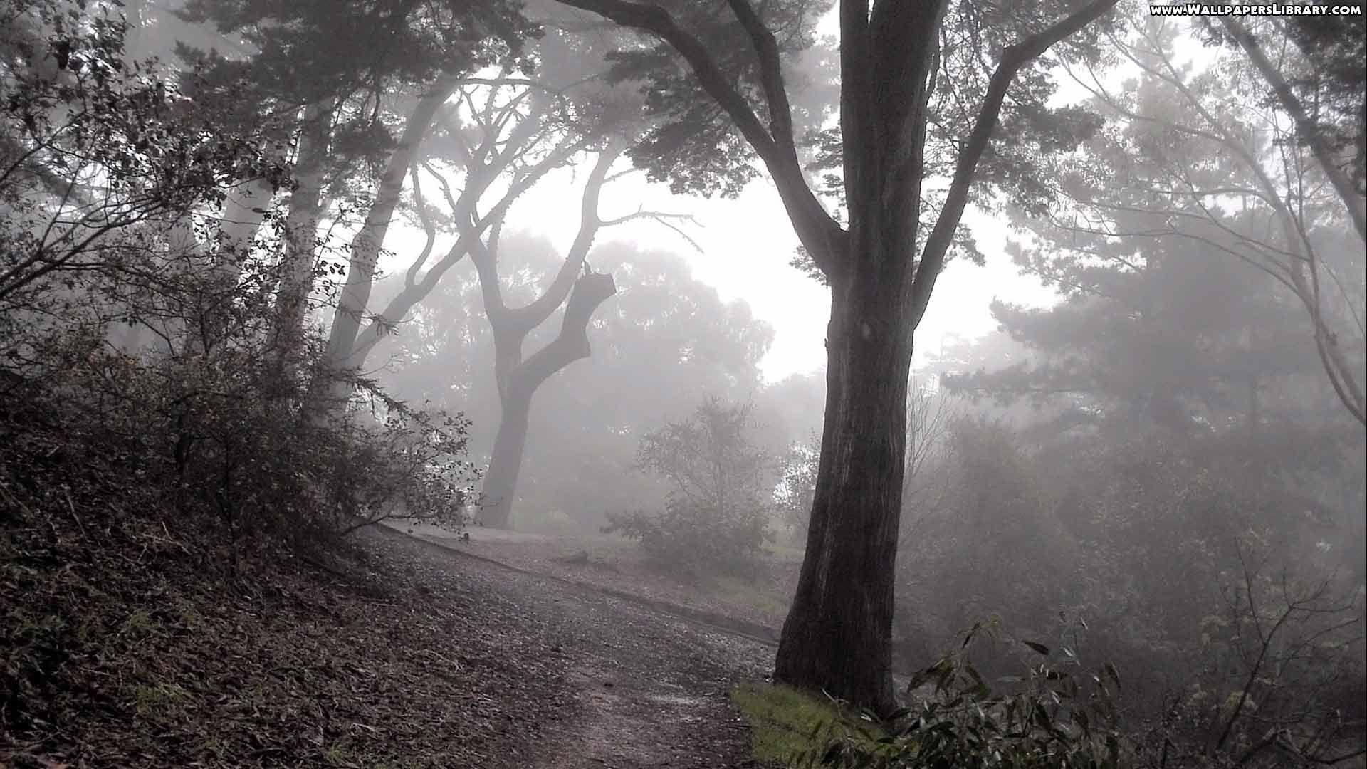 Cold Computer Wallpapers - Top Free Cold Computer Backgrounds ...