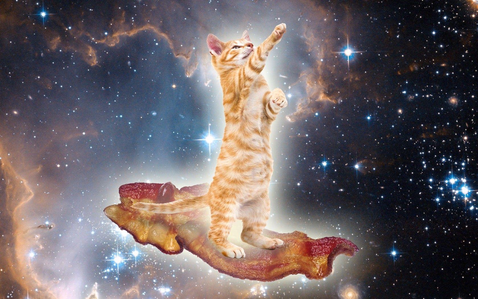 Space Cat Desktop Wallpapers - Top Free Space Cat Desktop Backgrounds ...