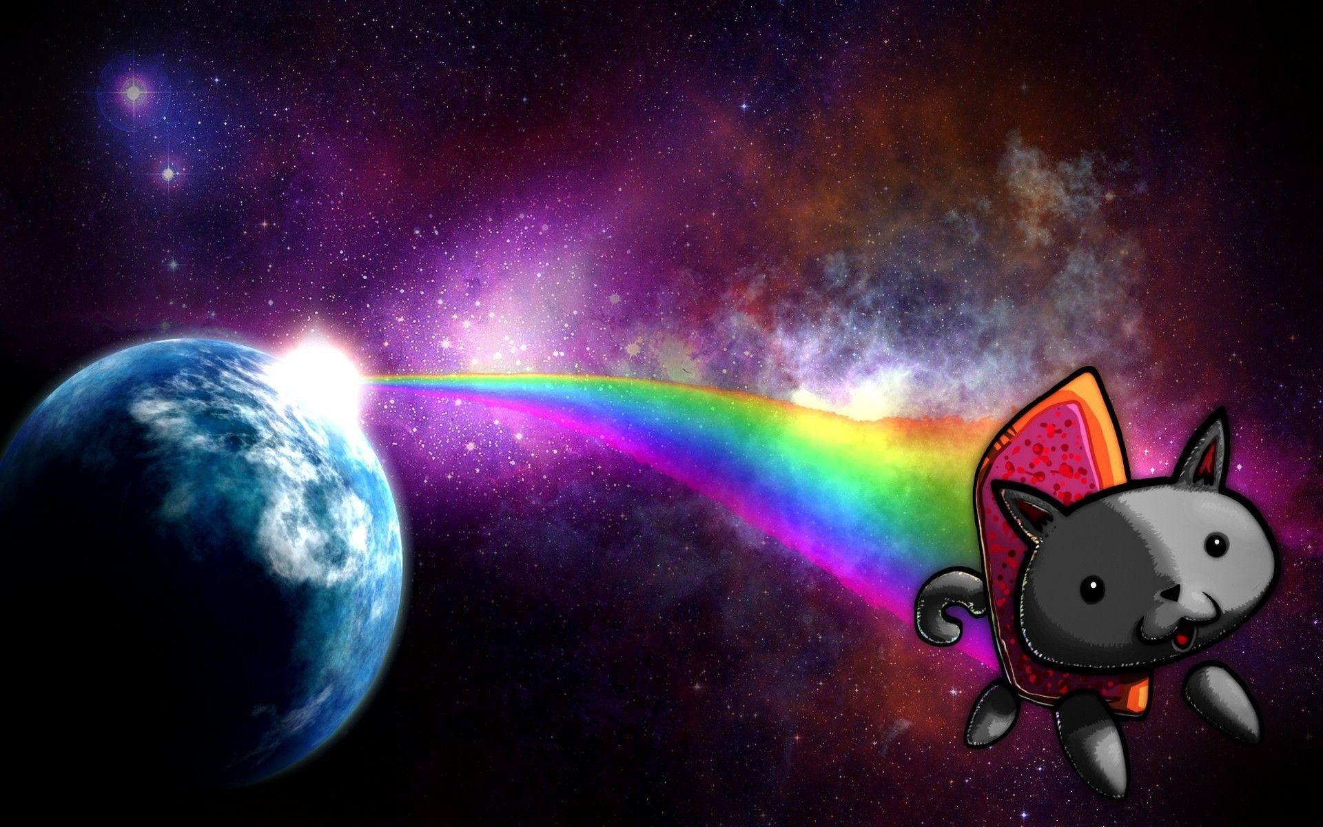 Space Cat Desktop Wallpapers - Top Free Space Cat Desktop Backgrounds ...
