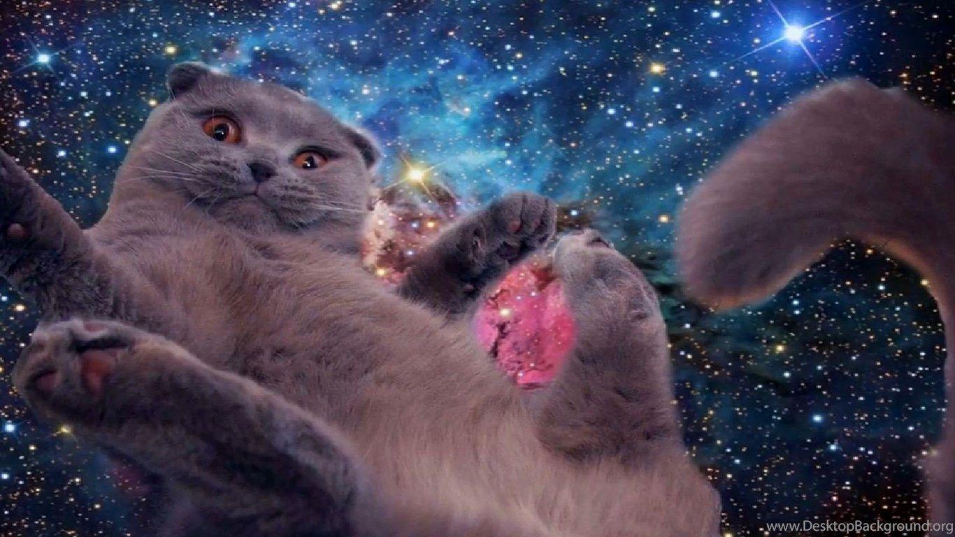 Space Cat Desktop Wallpapers - Top Free Space Cat Desktop Backgrounds ...