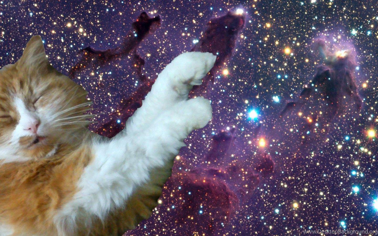 Space Cat Desktop Wallpapers - Top Free Space Cat Desktop Backgrounds ...