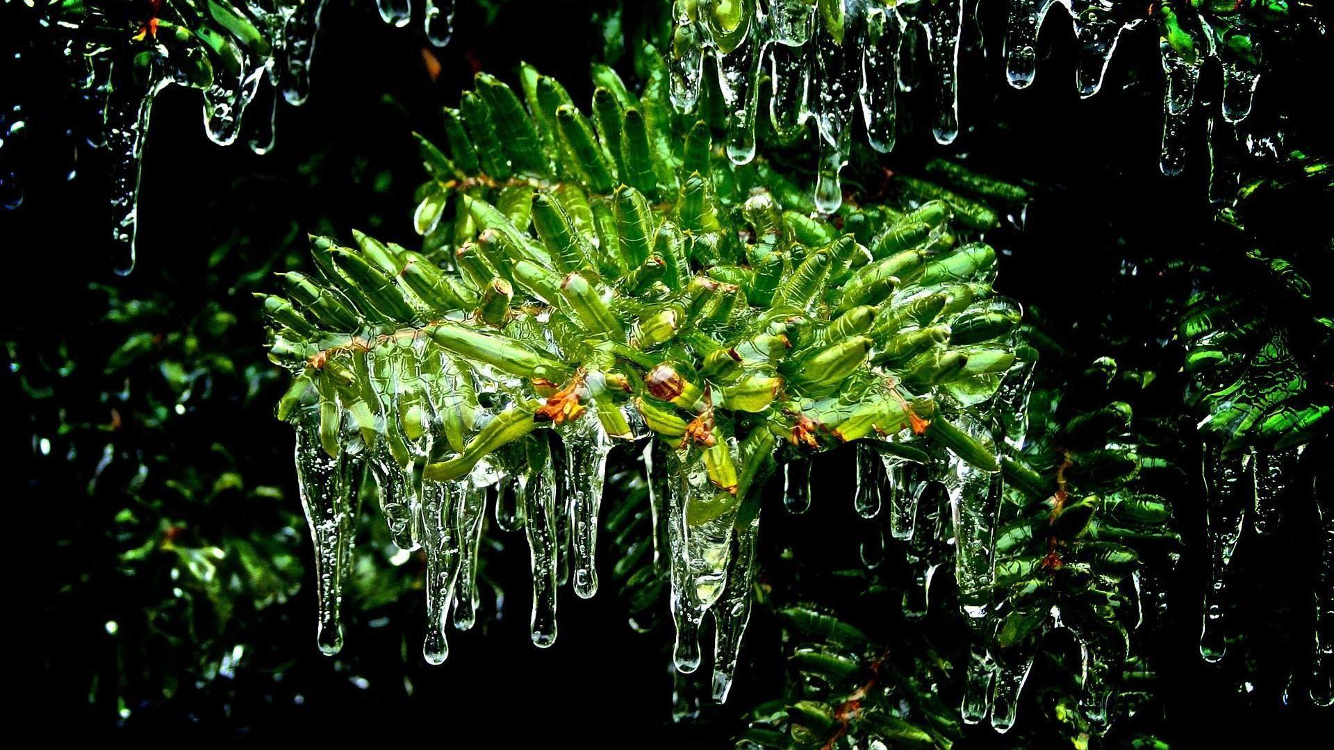 Biology Desktop Wallpapers - Top Free Biology Desktop Backgrounds ...