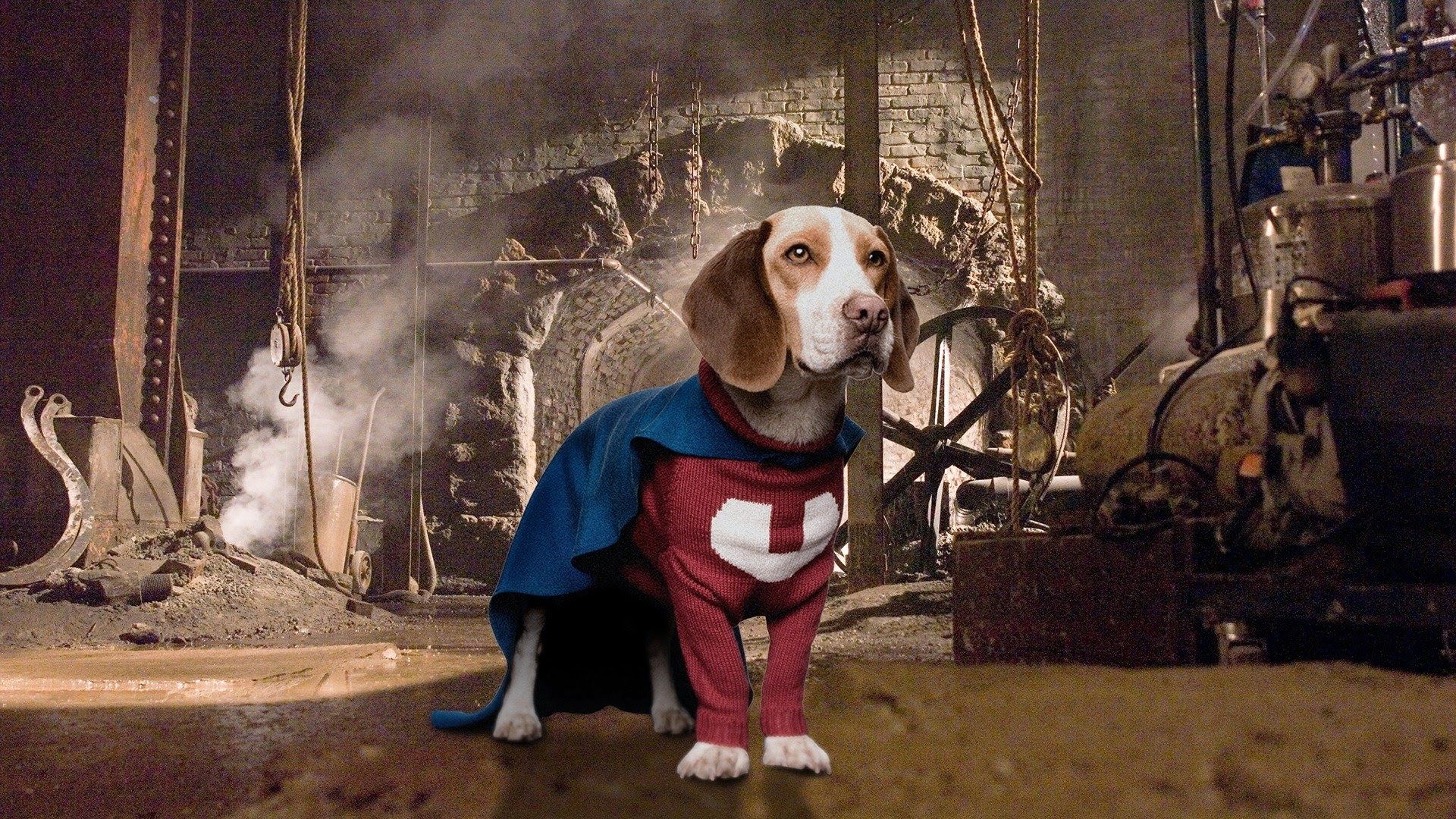 Underdog Wallpapers - Top Free Underdog Backgrounds - WallpaperAccess