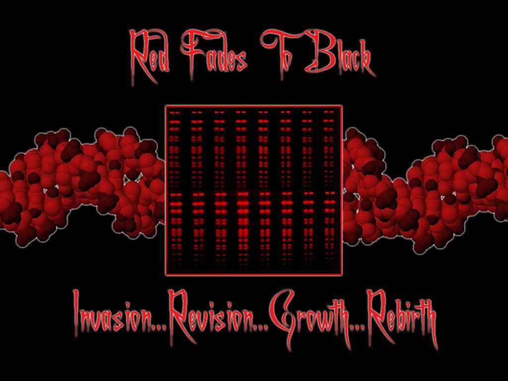 Radio Desktop Wallpapers - Top Free Radio Desktop Backgrounds ...