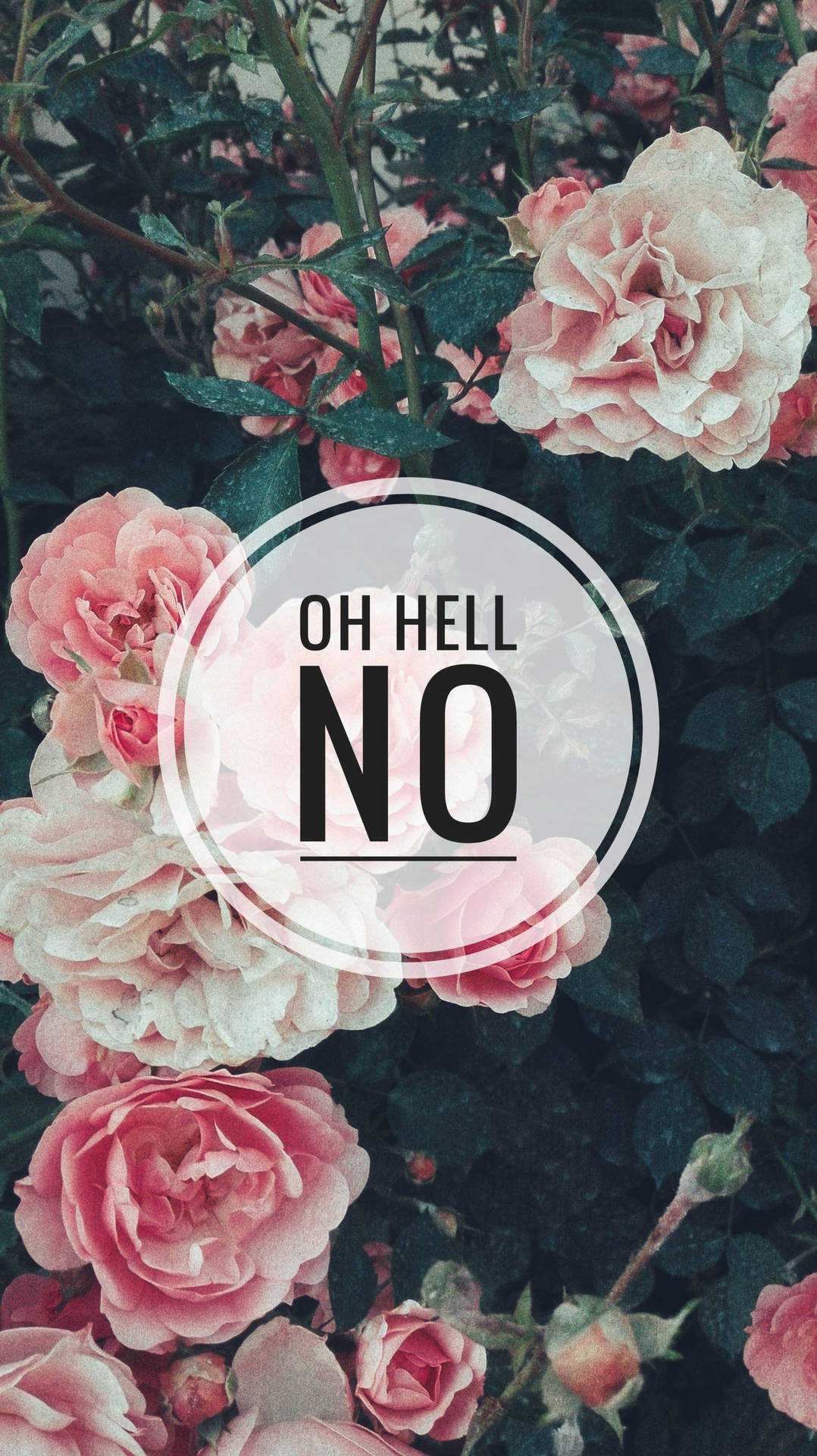 Oh No Wallpapers - Top Free Oh No Backgrounds - WallpaperAccess