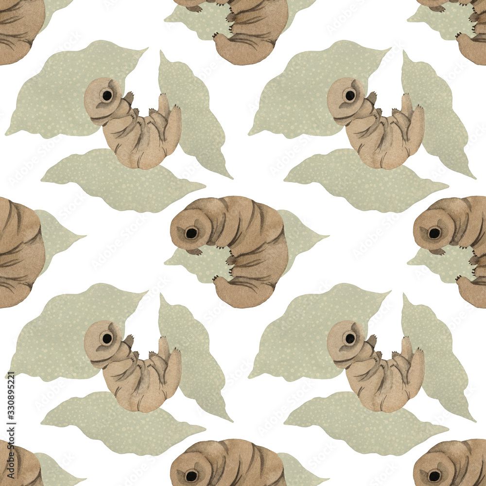 Water Bear Wallpapers - Top Free Water Bear Backgrounds - WallpaperAccess