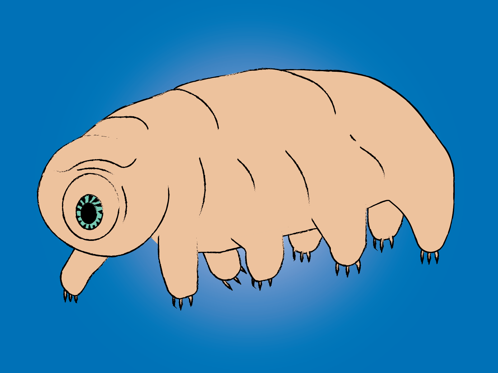 Tardigrade Wallpapers - Top Free Tardigrade Backgrounds - WallpaperAccess