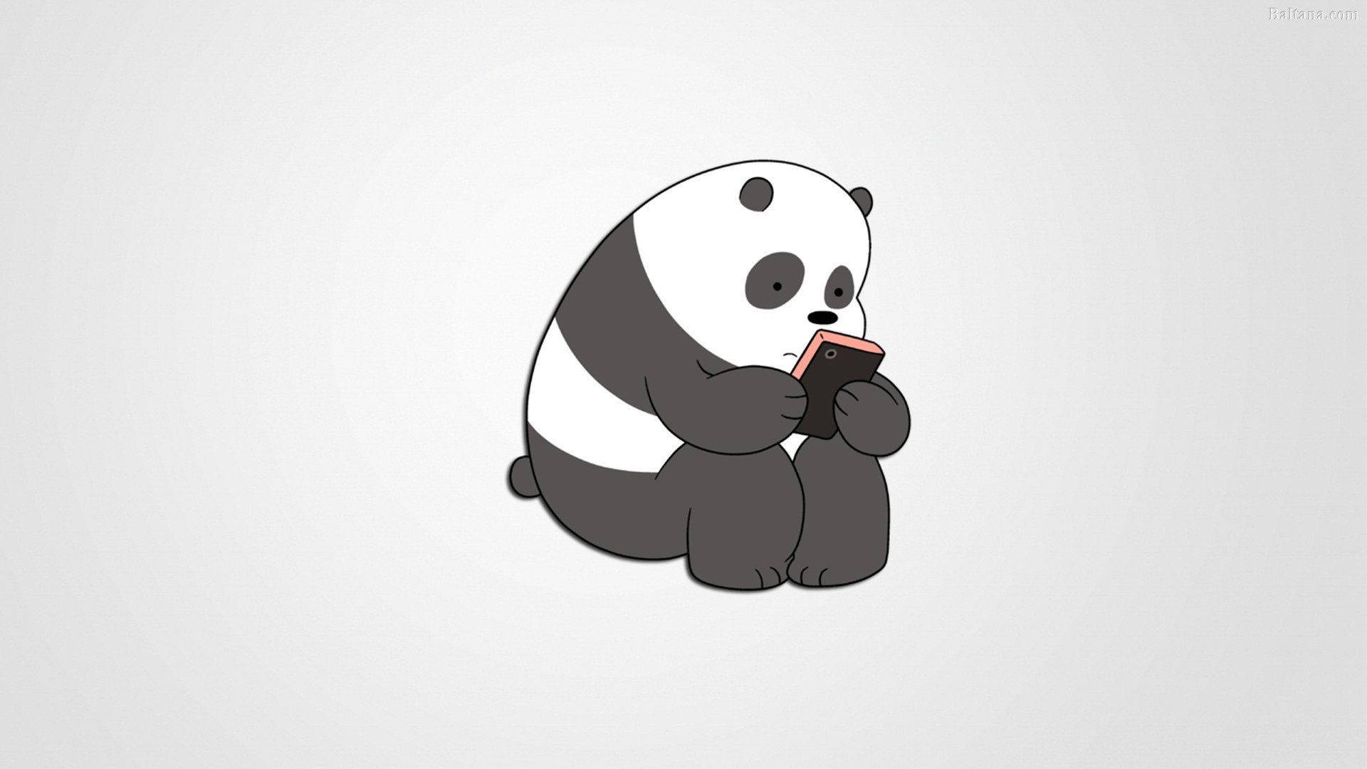 We Bare Bears PC Wallpapers - Top Free We Bare Bears PC Backgrounds - WallpaperAccess