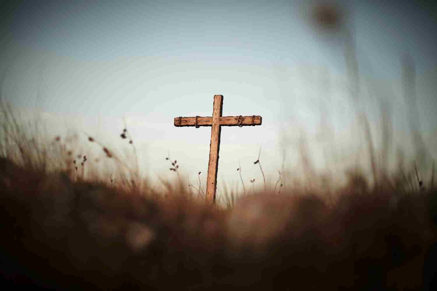 Coptic Wallpapers - Top Free Coptic Backgrounds - WallpaperAccess