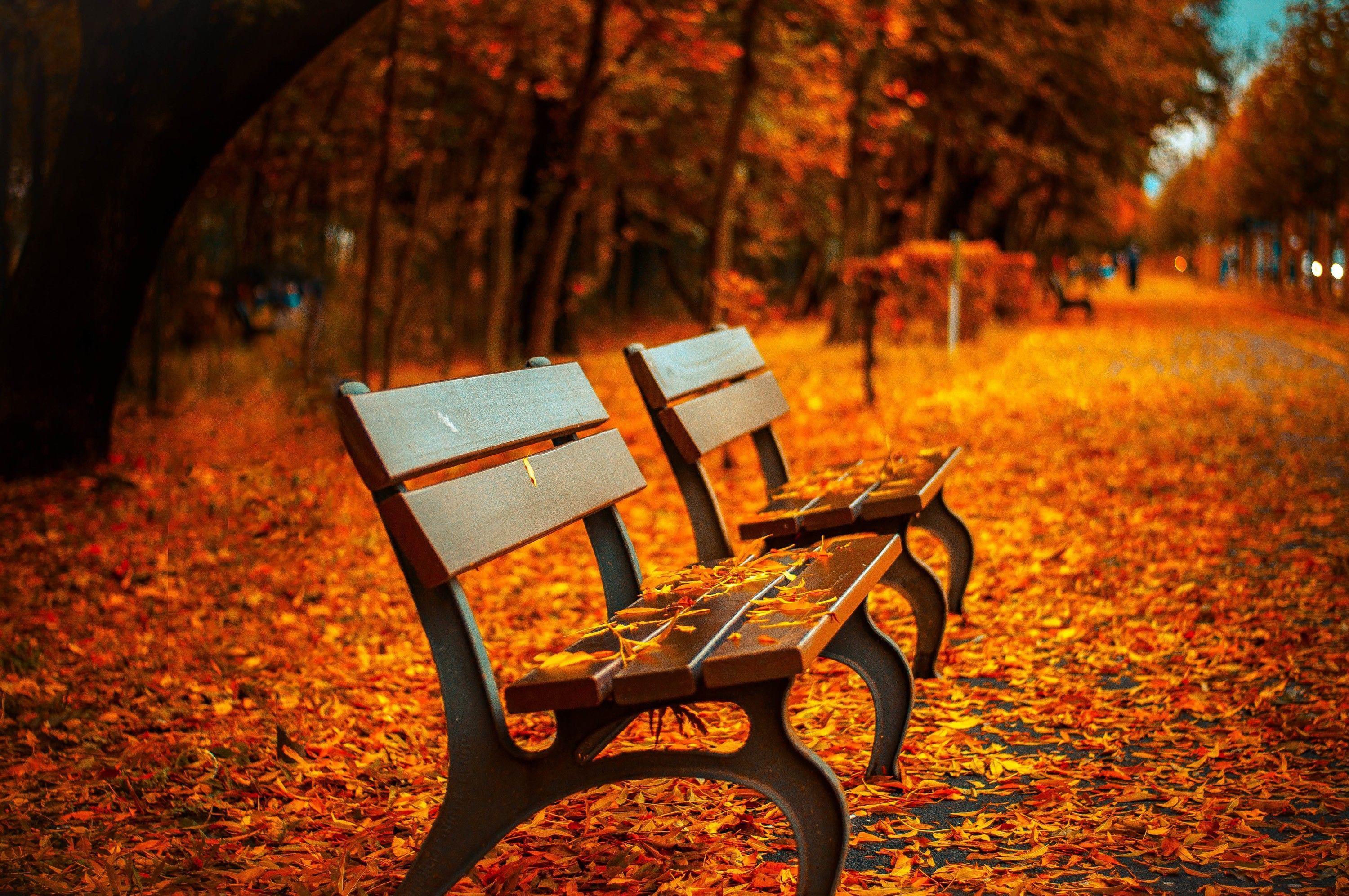 Romantic Autumn Wallpapers - Top Free Romantic Autumn Backgrounds ...