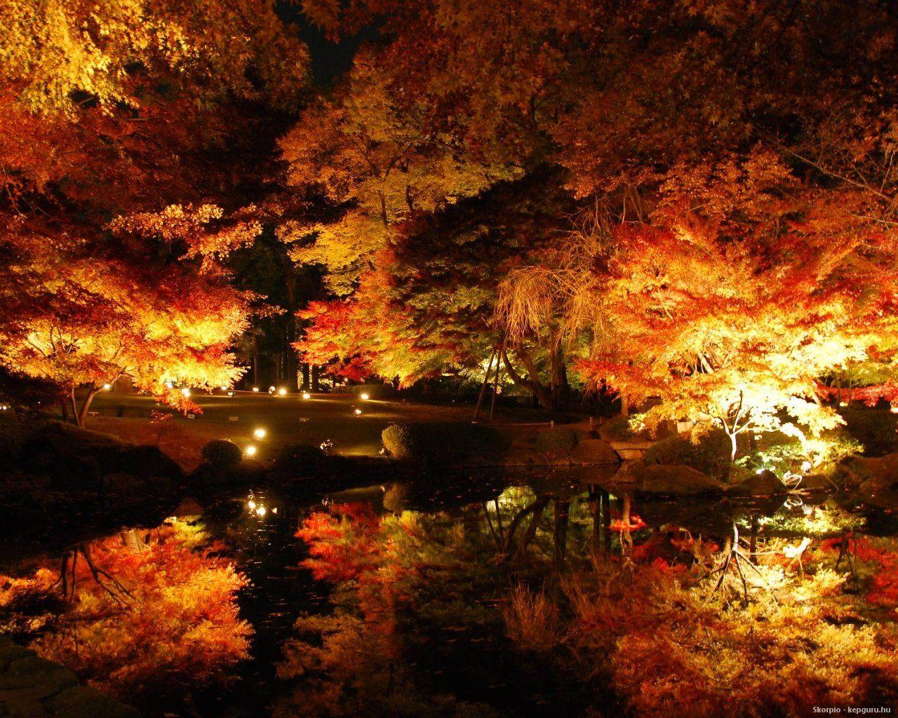 Japan Autumn Wallpapers - Top Free Japan Autumn Backgrounds ...
