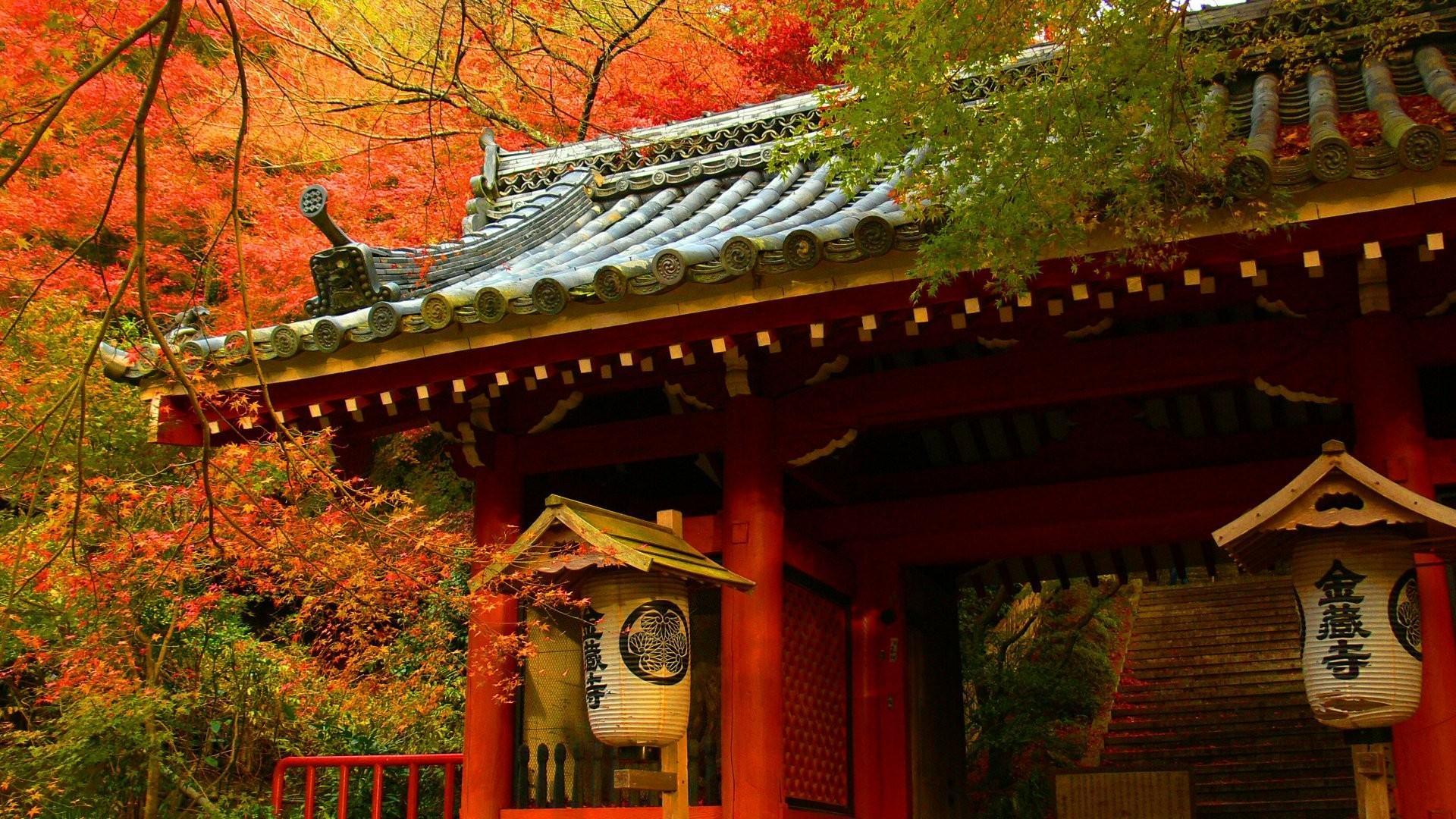 Japan Autumn Wallpapers - Top Free Japan Autumn Backgrounds ...