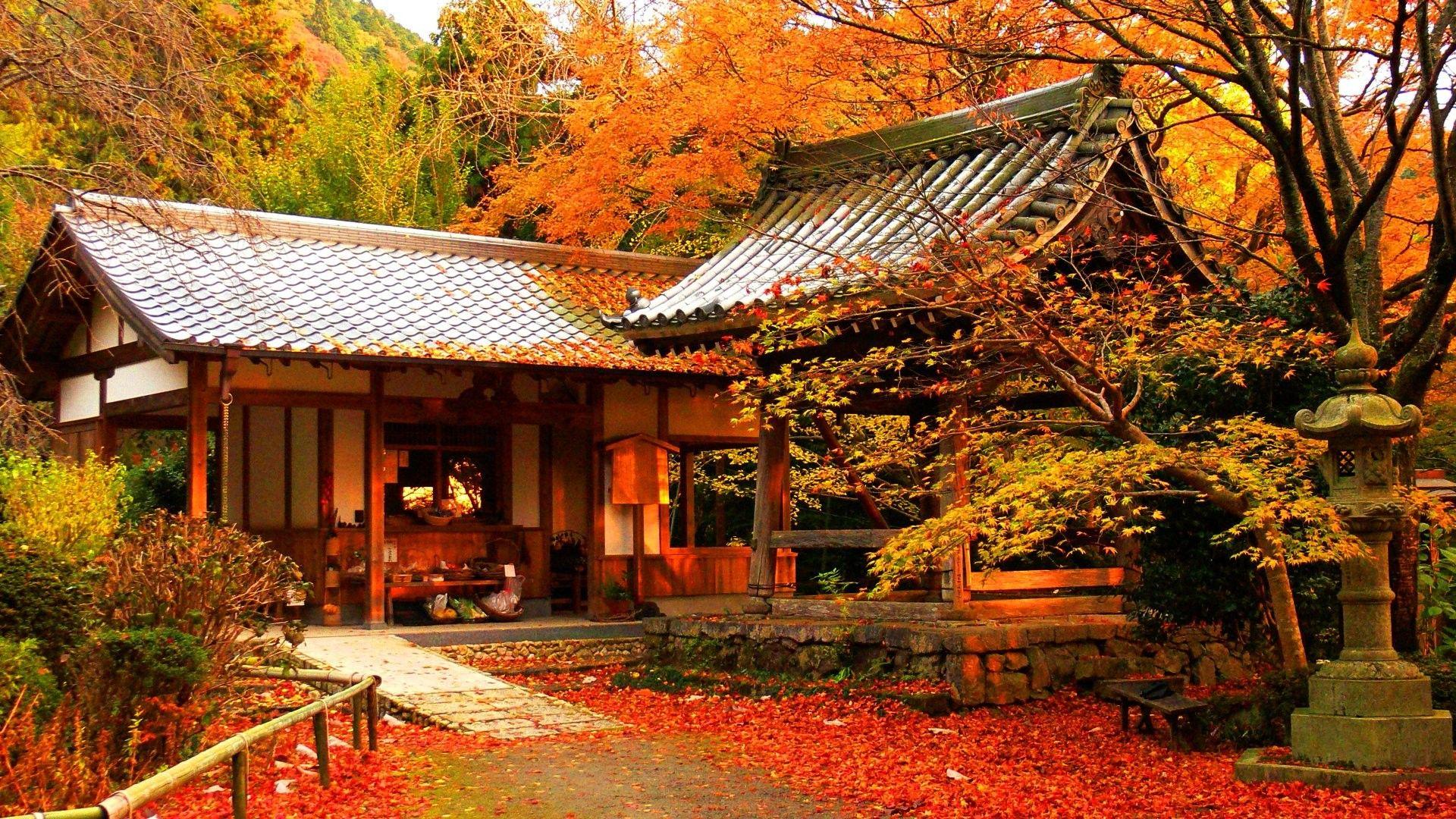 Japan Autumn Wallpapers - Top Free Japan Autumn Backgrounds - WallpaperAccess
