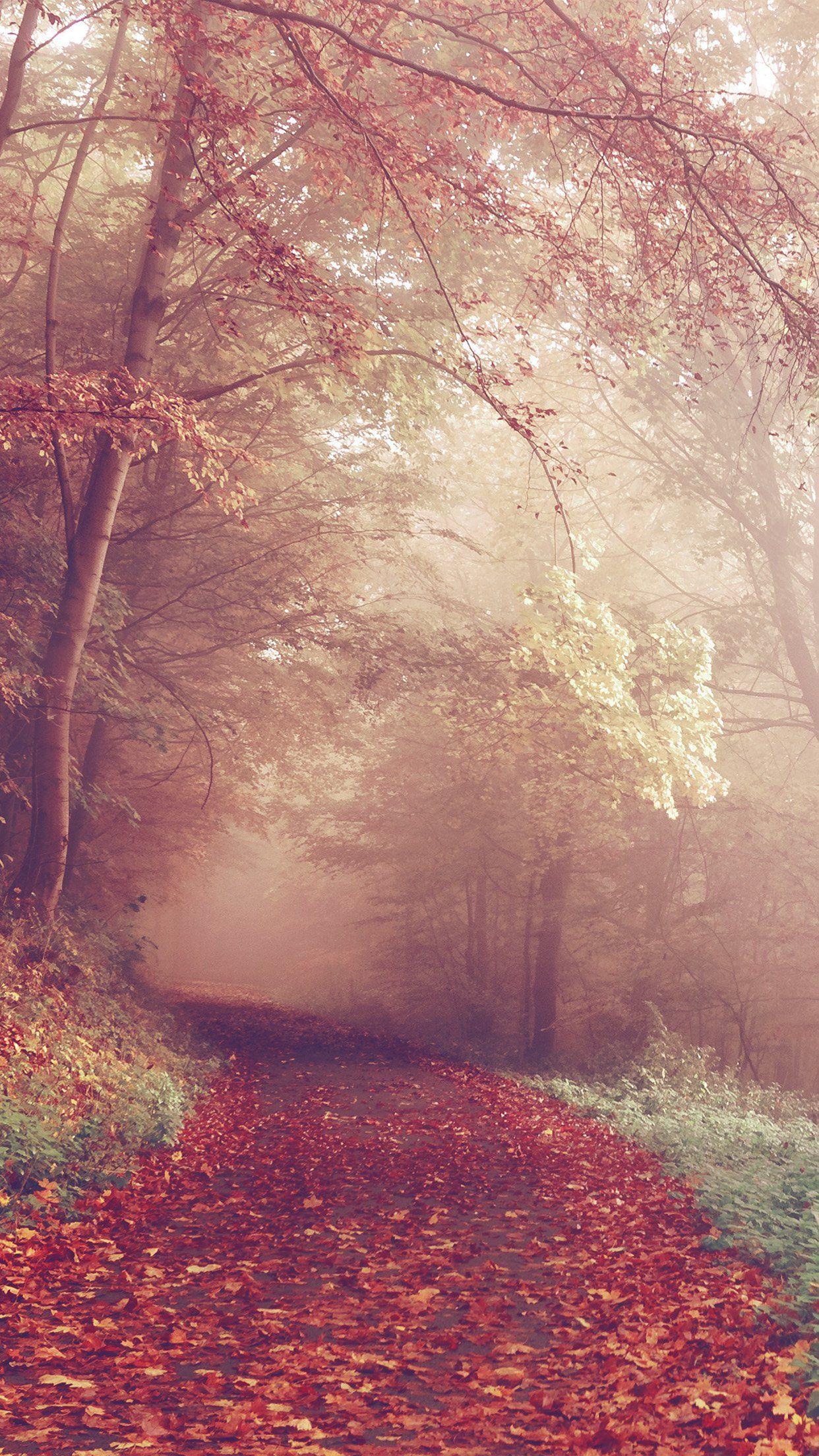 Romantic Autumn Wallpapers - Top Free Romantic Autumn Backgrounds ...