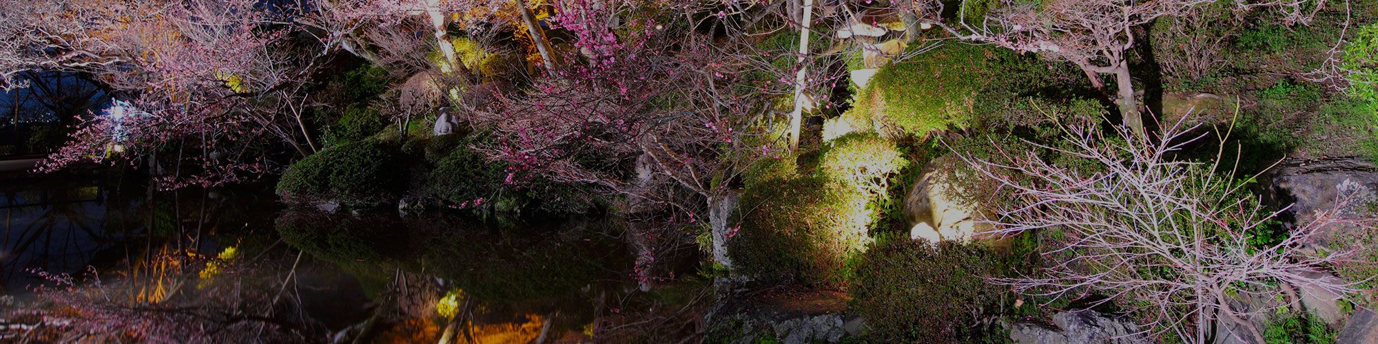 2000x500 Anime Wallpapers - Top Free 2000x500 Anime Backgrounds ...