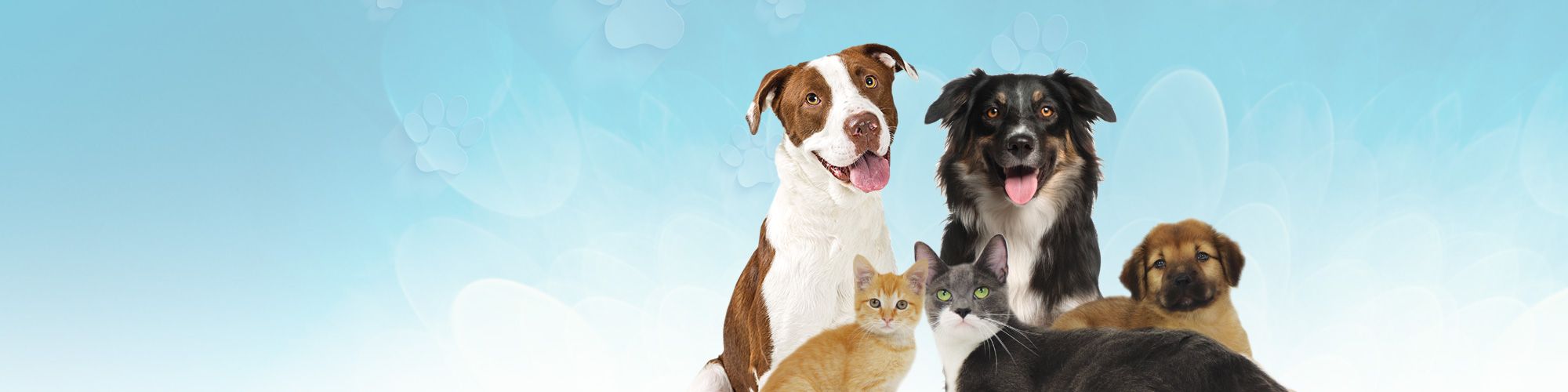 2000x500 Anime Wallpapers - Top Free 2000x500 Anime Backgrounds ...