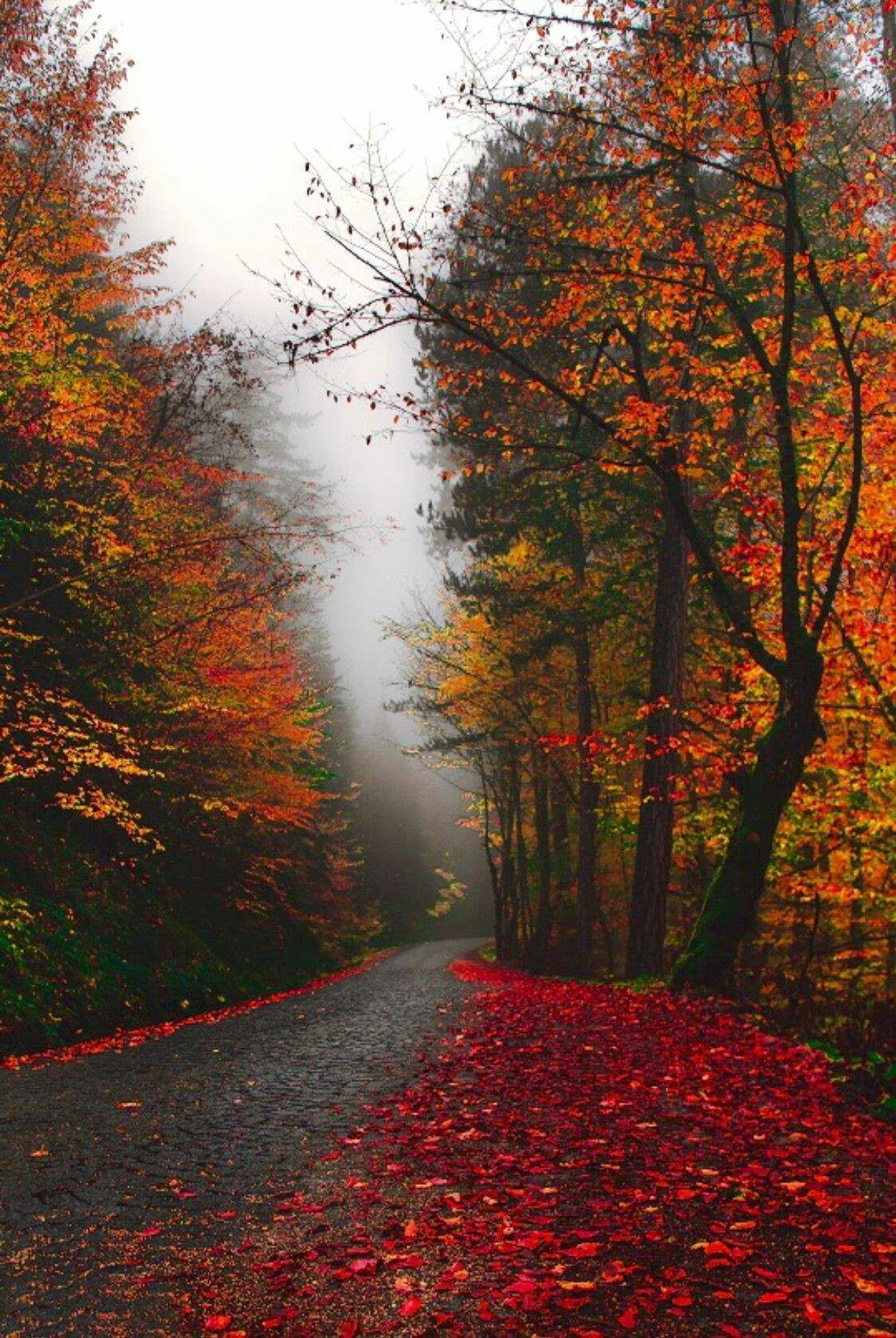 Whatsapp Status Wallpapers - Top Free Whatsapp Status Backgrounds ...