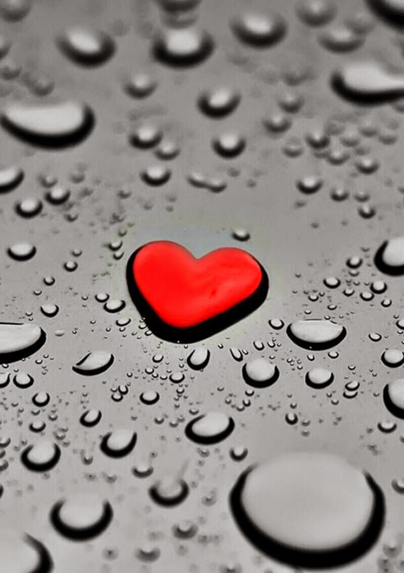 Whatsapp Status Wallpapers - Top Free Whatsapp Status Backgrounds ...