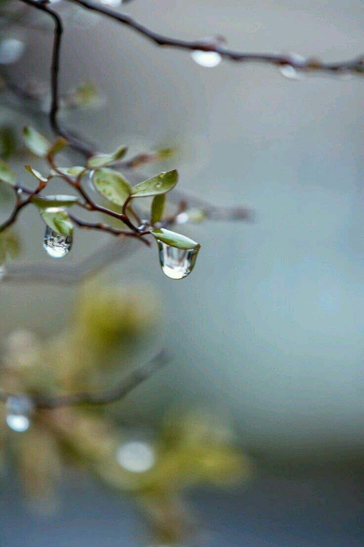 Whatsapp Status Wallpapers - Top Free Whatsapp Status Backgrounds ...