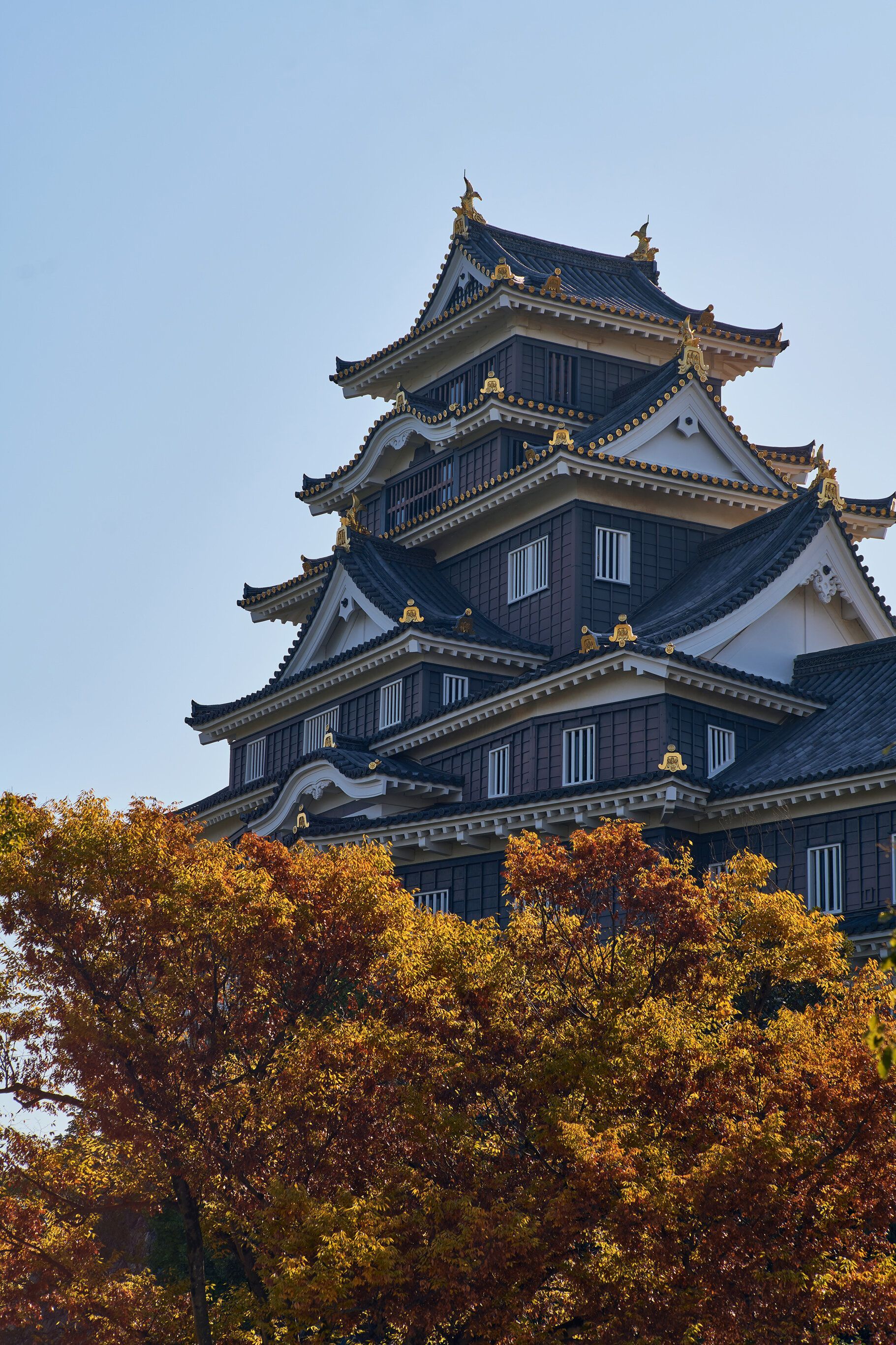 Okayama Wallpapers - Top Free Okayama Backgrounds - WallpaperAccess