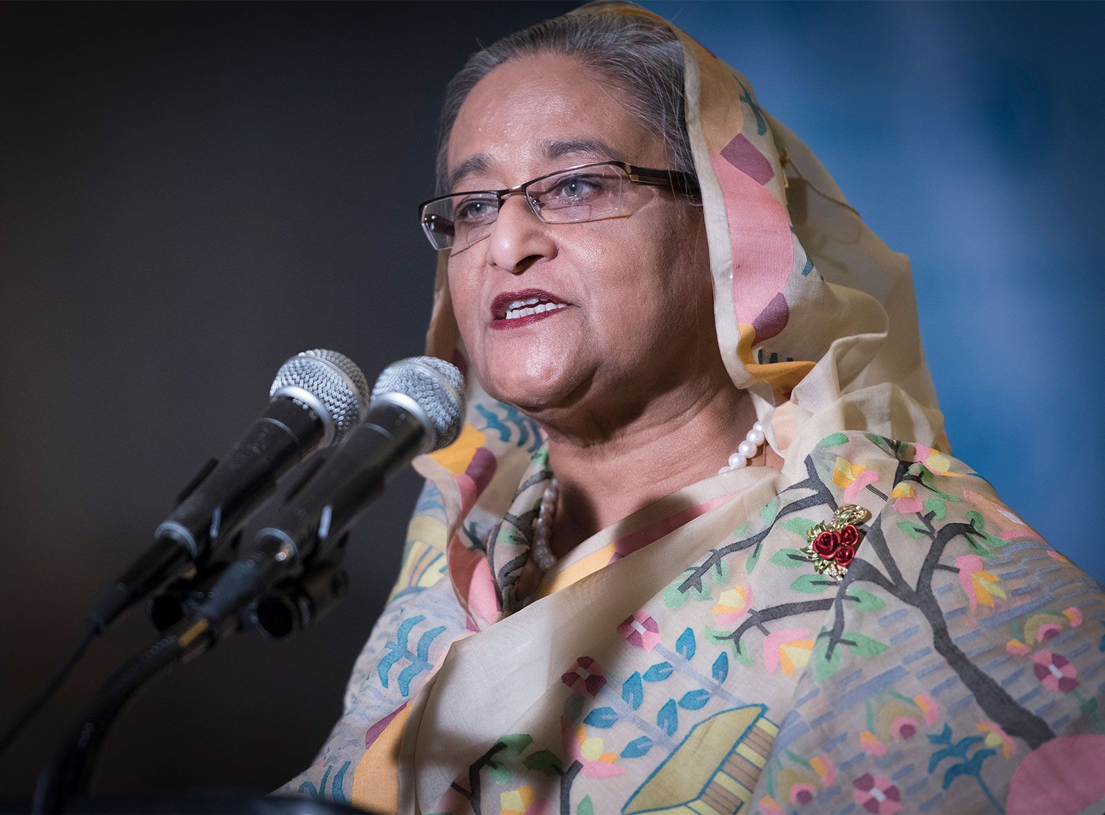 Sheikh Hasina Wallpapers - Top Free Sheikh Hasina Backgrounds ...