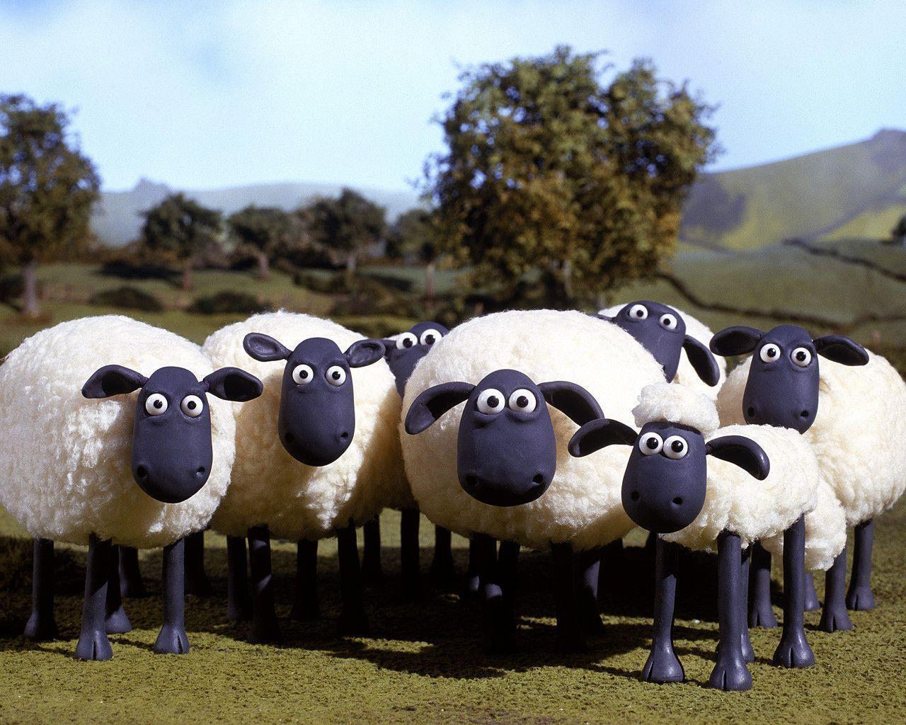 Sheep Computer Wallpapers - Top Free Sheep Computer Backgrounds ...