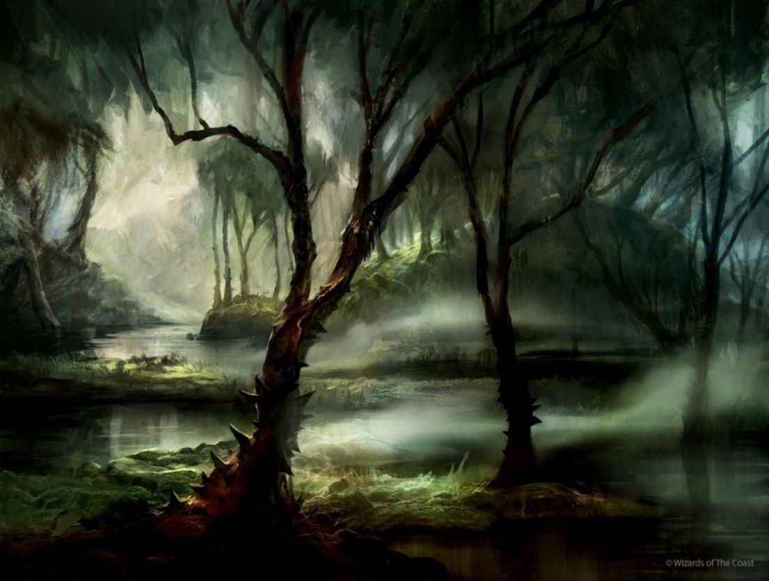 Swamp Computer Wallpapers - Top Free Swamp Computer Backgrounds ...