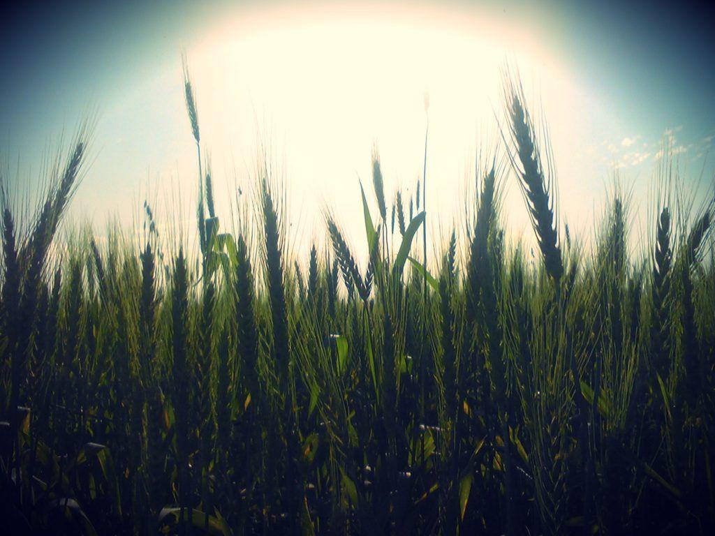 Hipster Desktop Wallpapers - Top Free Hipster Desktop Backgrounds ...