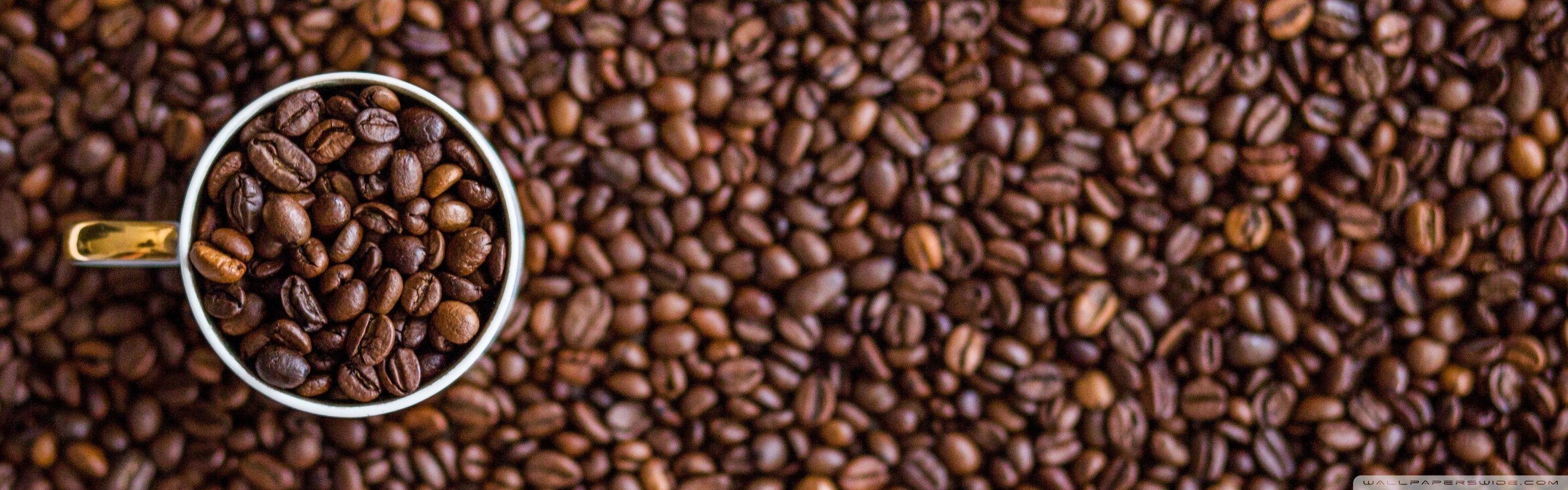 Dual Screen Food Wallpapers - Top Free Dual Screen Food Backgrounds ...