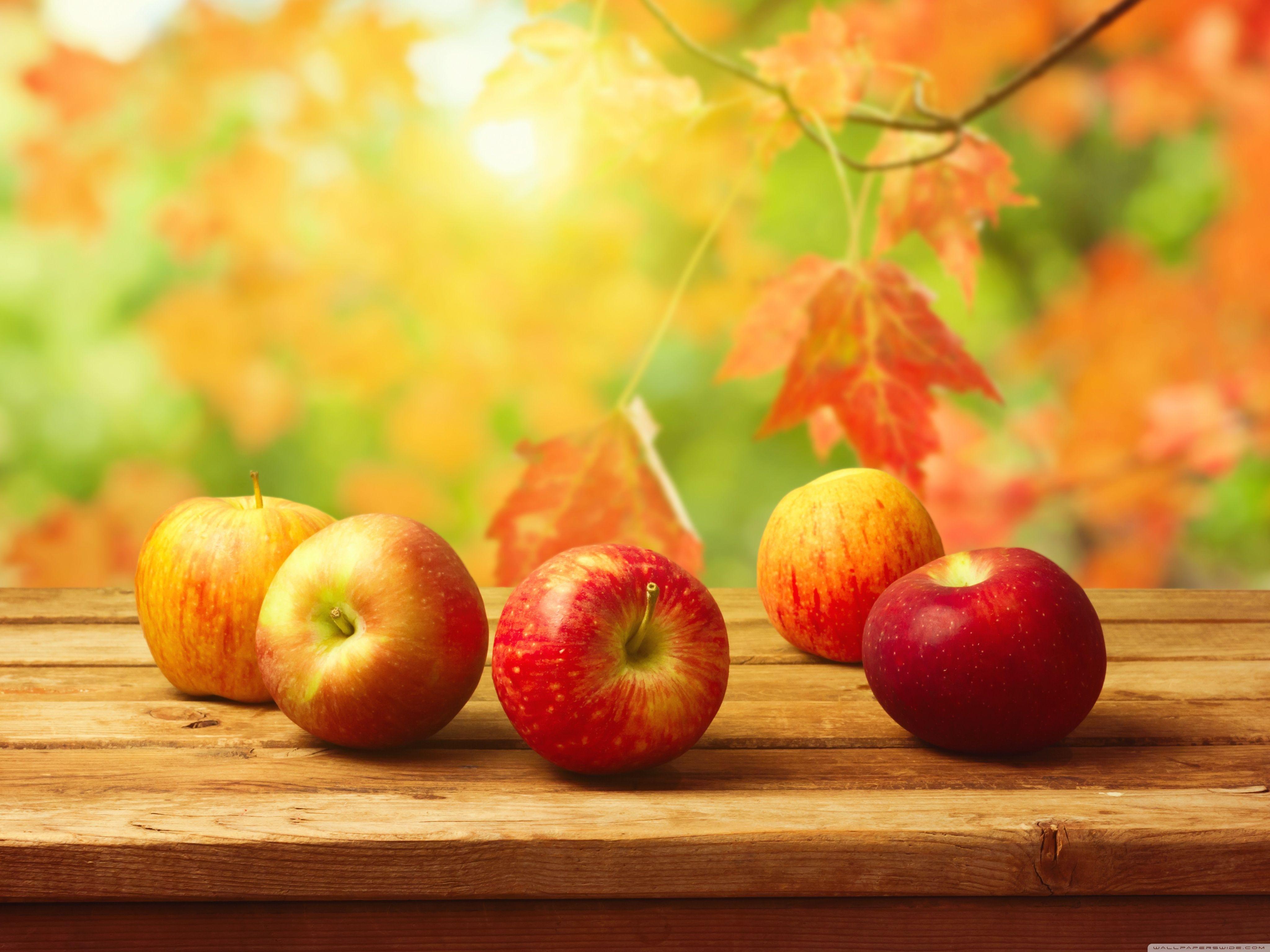 Dual Screen Food Wallpapers - Top Free Dual Screen Food Backgrounds ...