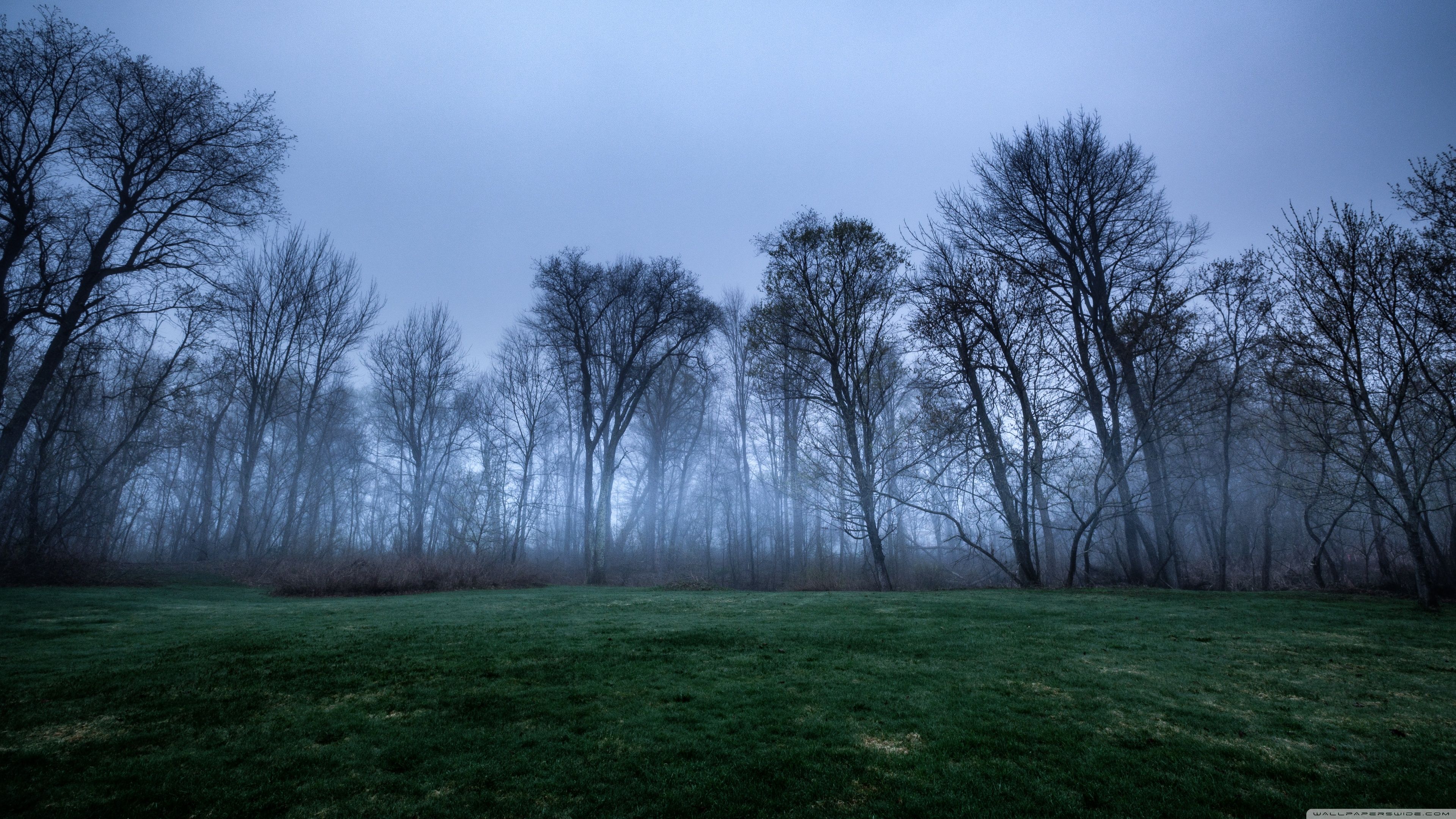 Dark Grass Wallpapers - Top Free Dark Grass Backgrounds - WallpaperAccess